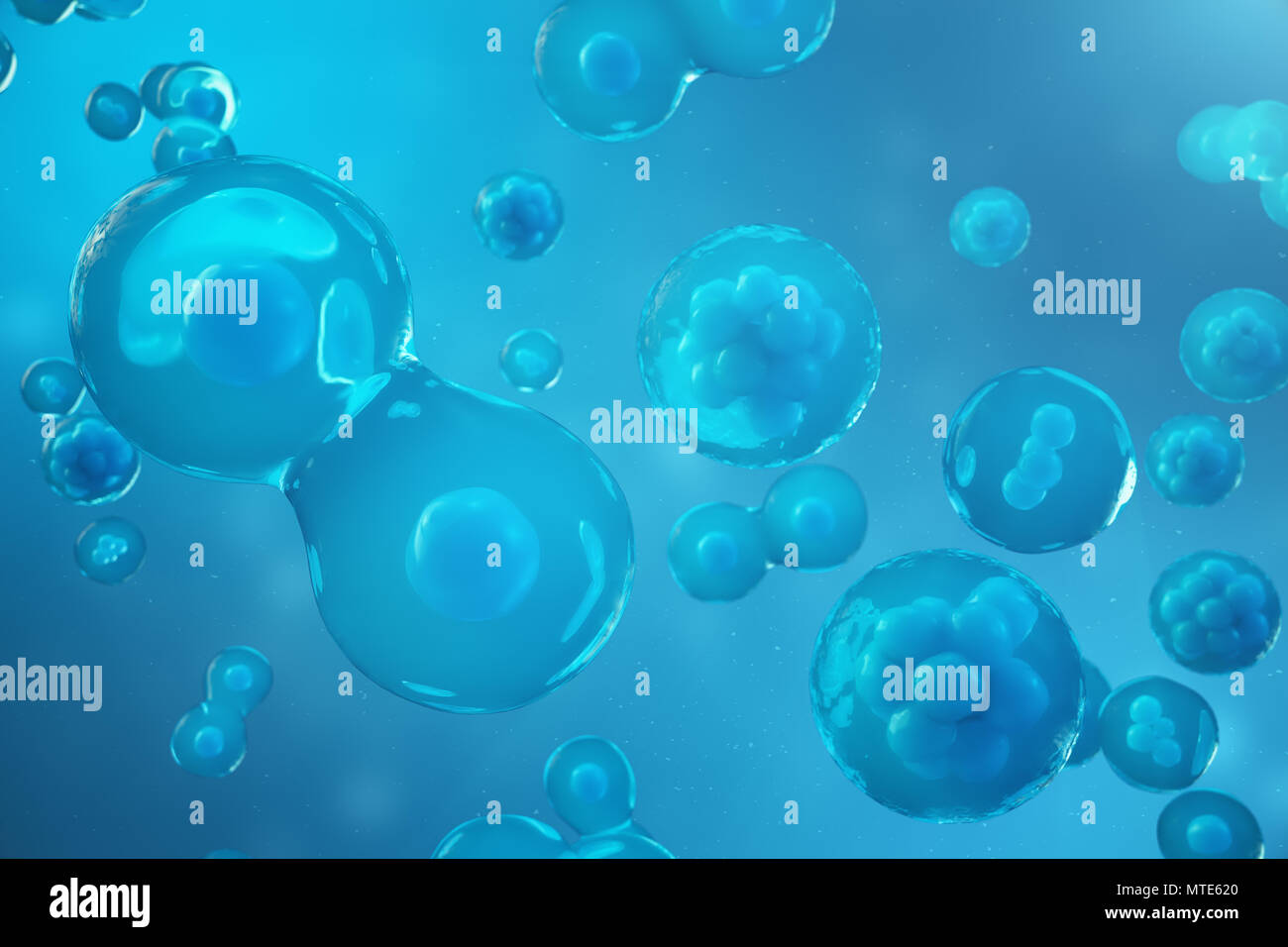 3D Rendering human or animal cells on blue background. Concept Early ...
