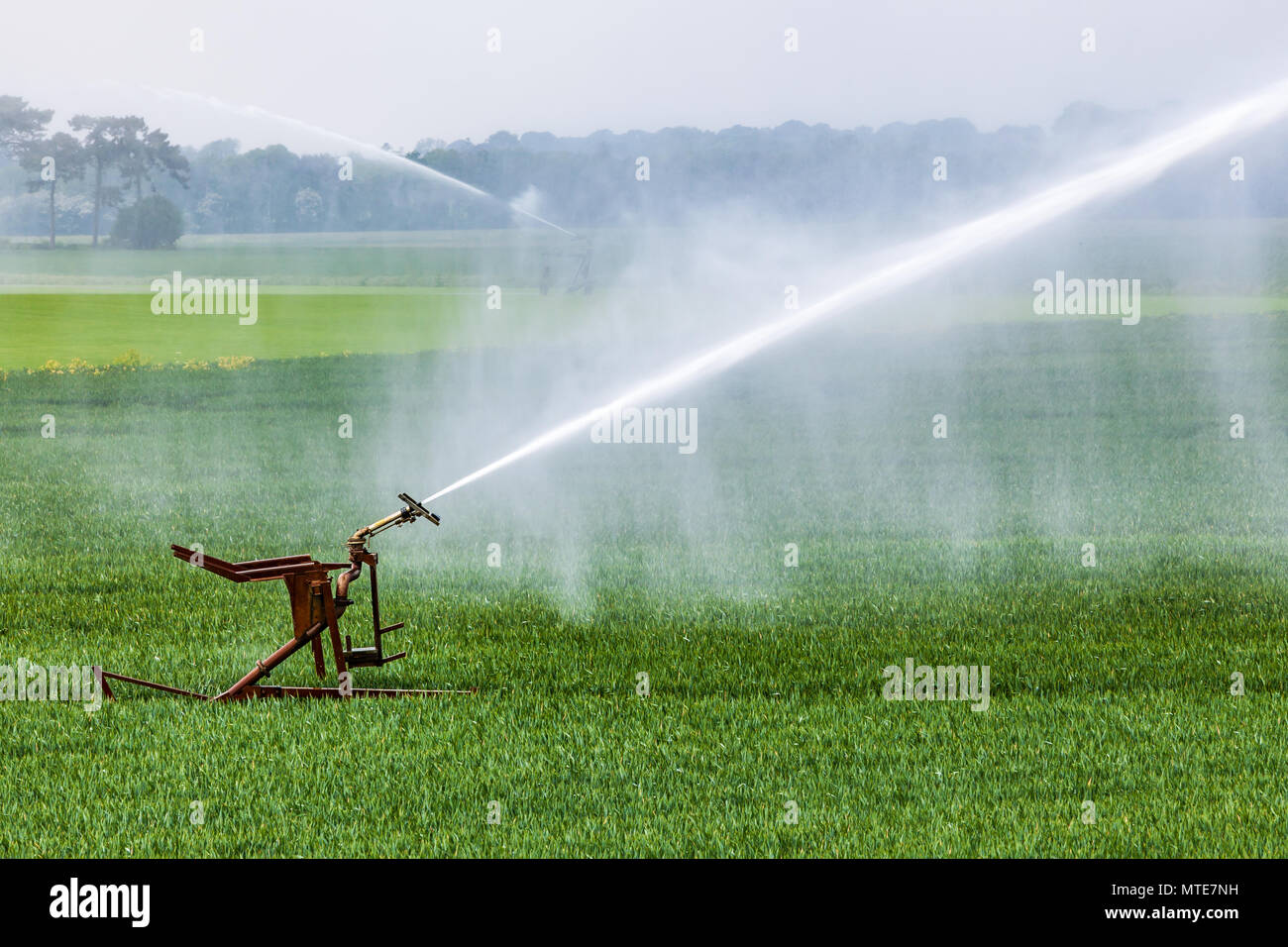 irrigation system watering crops uk Stock Photo - Alamy