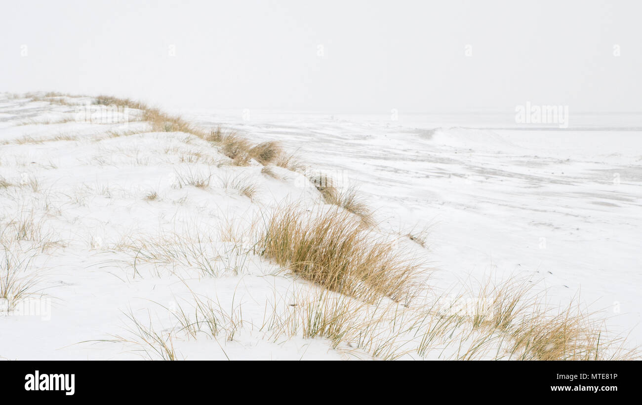Beach sea grass hi-res stock photography and images - Alamy