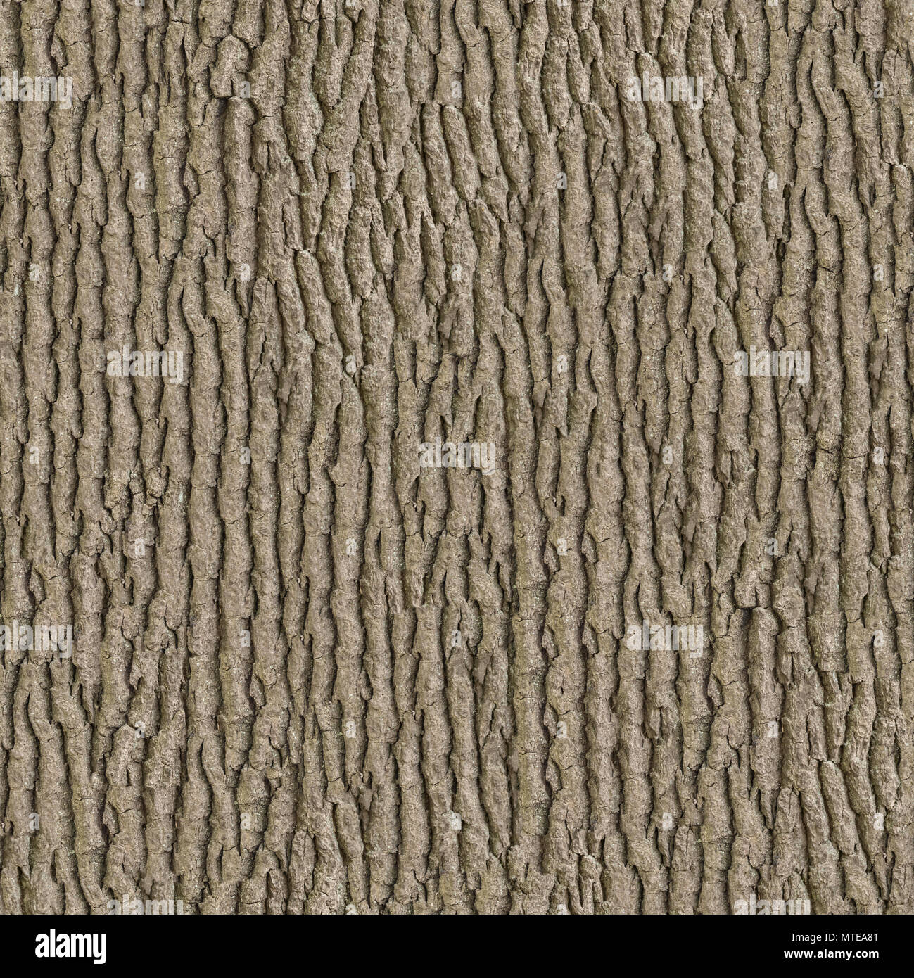 Wooden Bark. Seamless Tileable Texture Stock Photo - Alamy