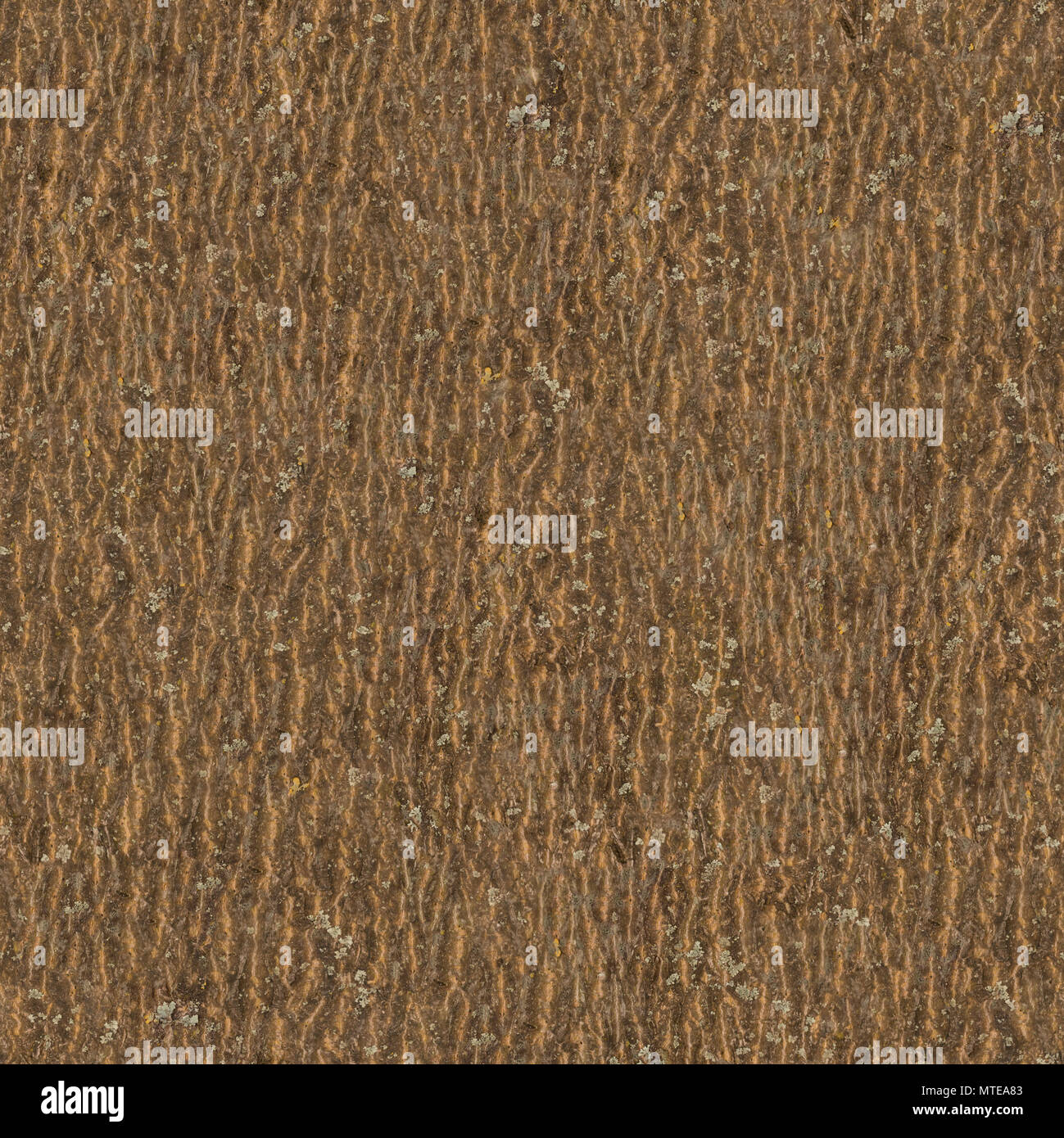 Wooden Bark. Seamless Tileable Texture Stock Photo - Alamy