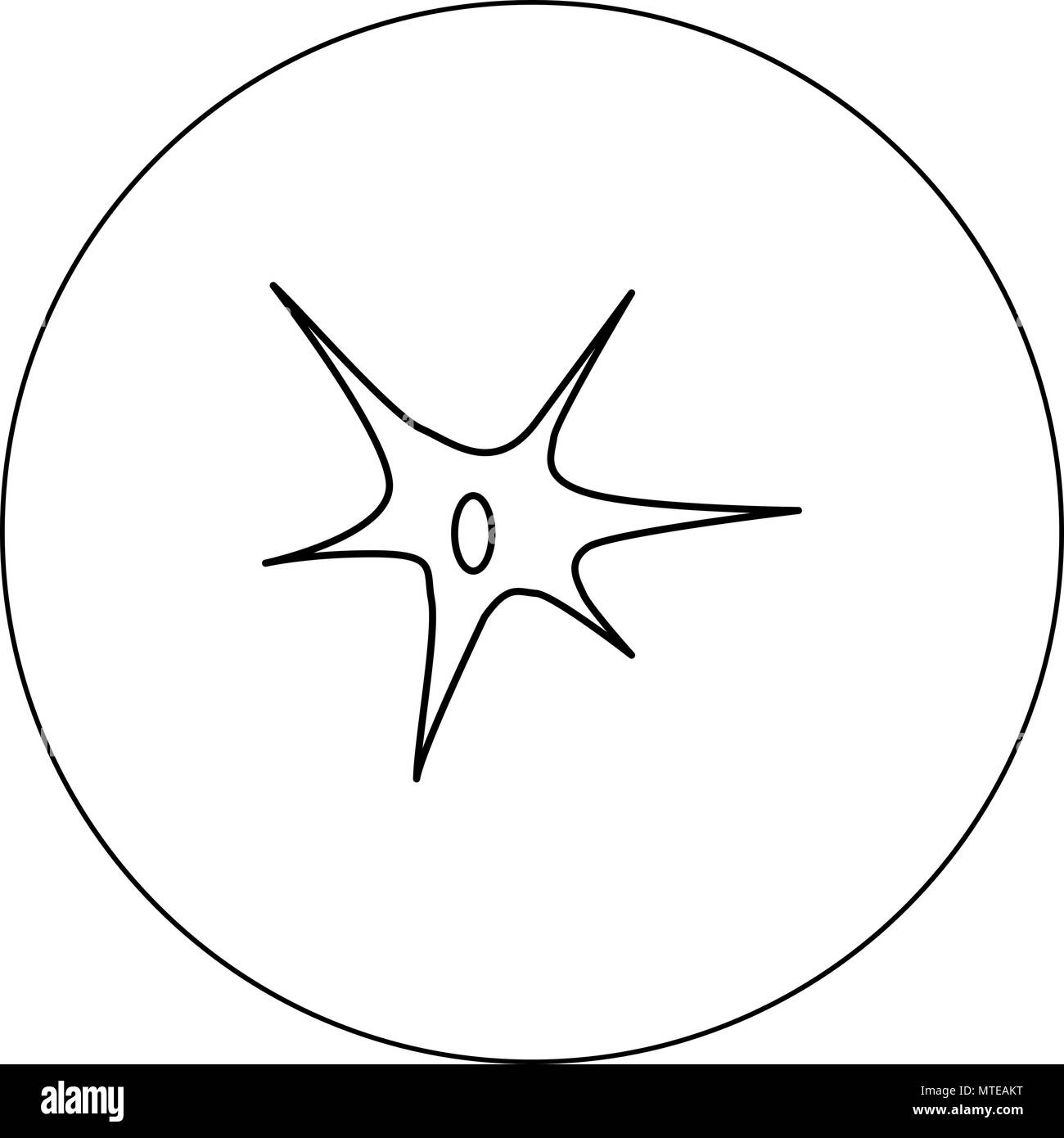 Synapse Black and White Stock Photos & Images - Alamy