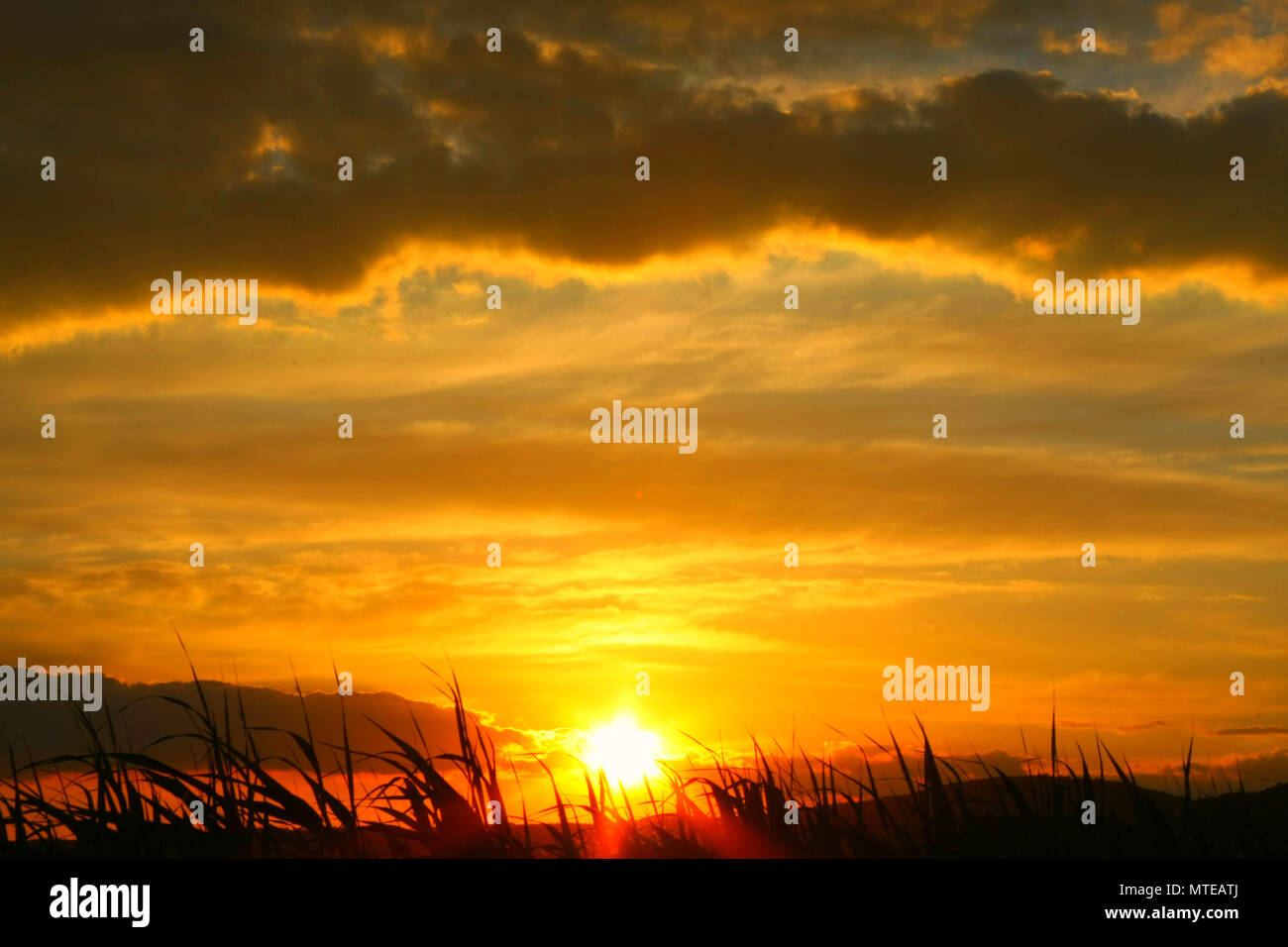 Sunset colors at Lake Velence, Hungary Stock Photo - Alamy