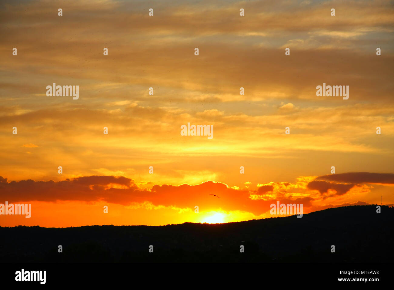 Sunset colors at Lake Velence, Hungary Stock Photo - Alamy