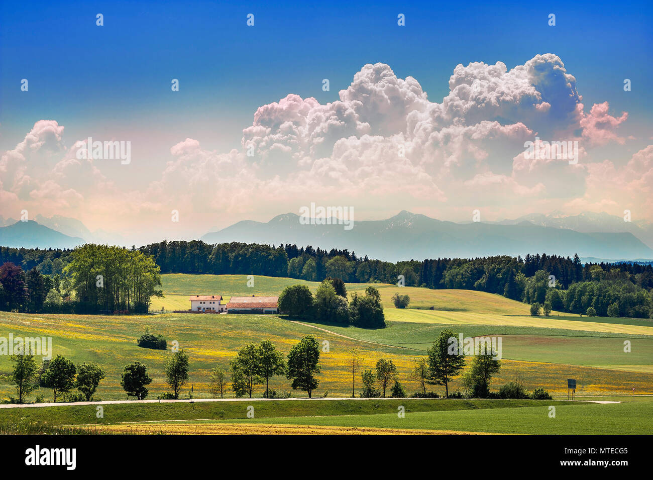 Cluster clouds (Cumulus) over Alpine range, Alpine foothills, Upper ...