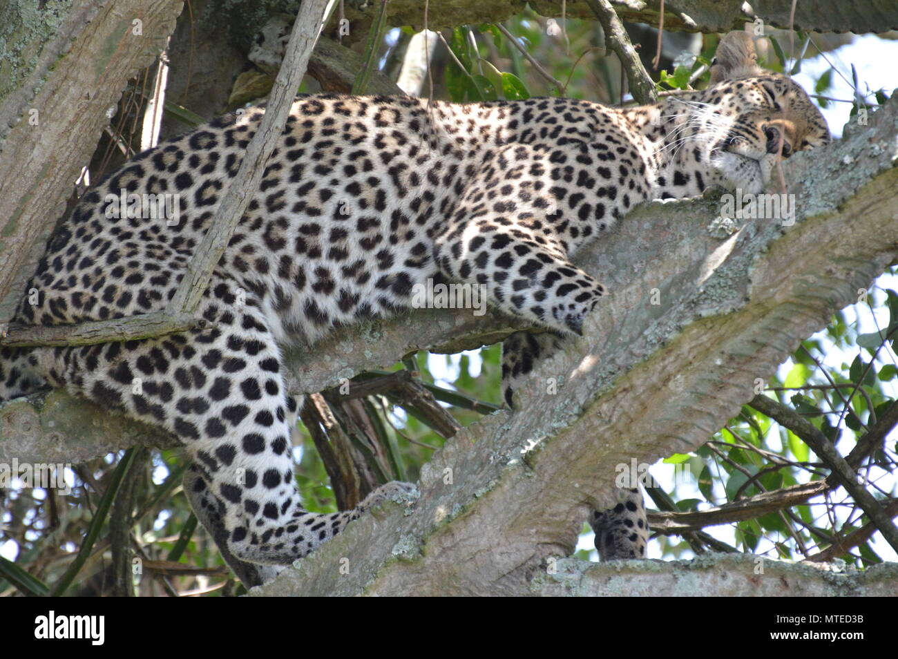 Elizabeth hunt hi-res stock photography and images - Alamy