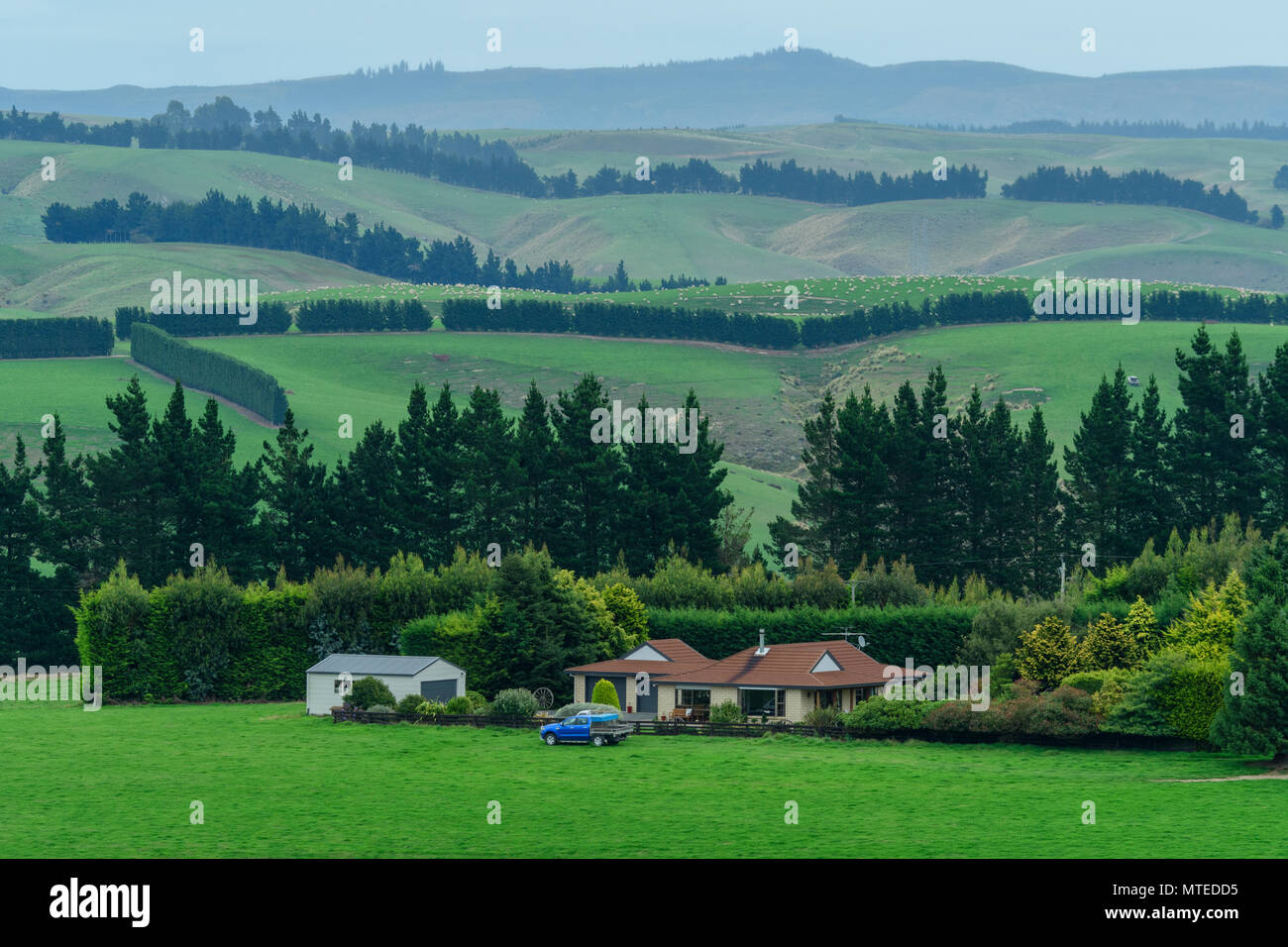 Oceania; New Zealand; Aotearoa; South Island; Otago, Farm Stock Photo ...