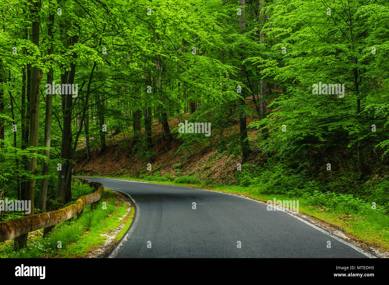 Wooded tree line hi-res stock photography and images - Alamy