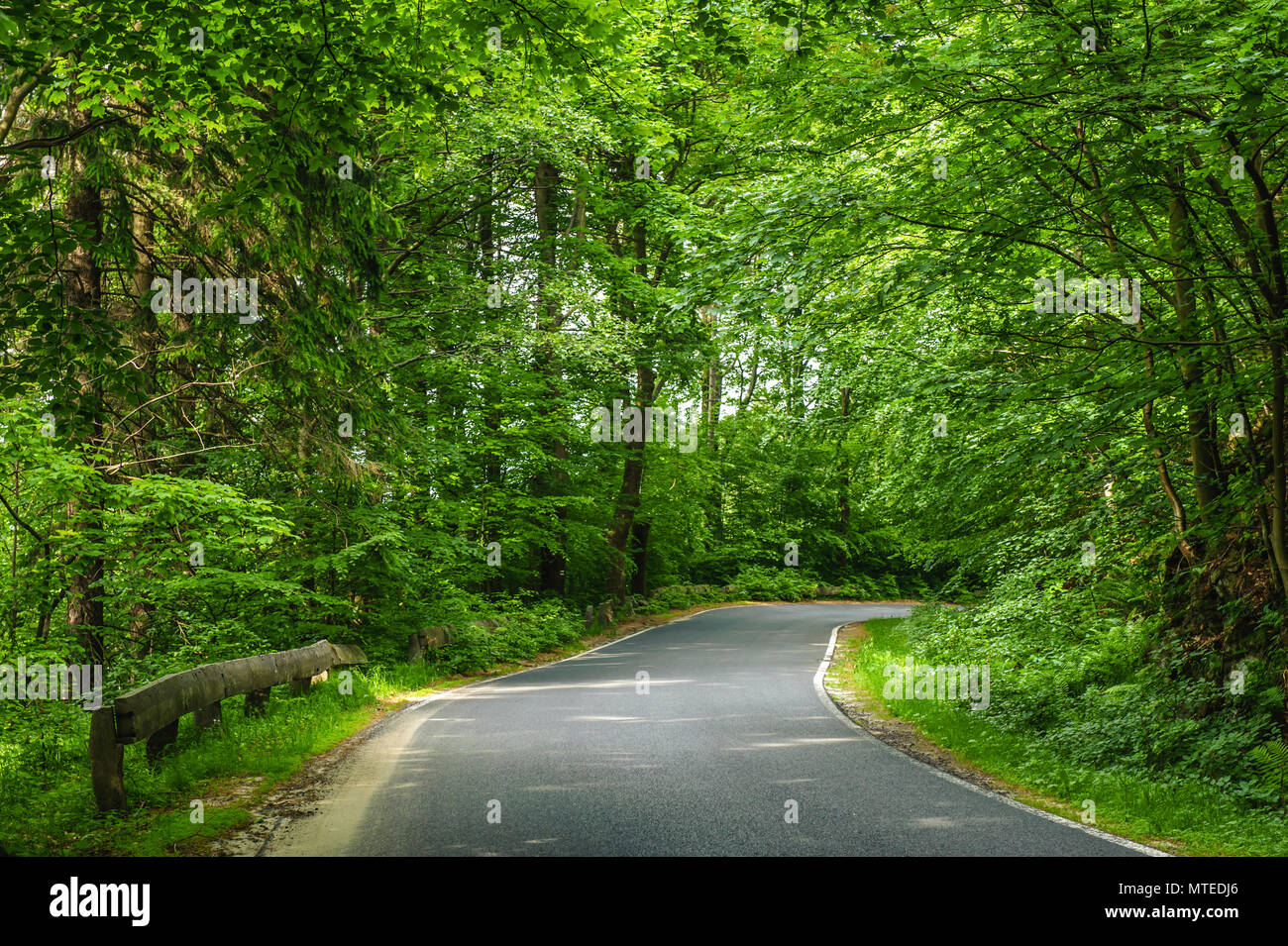 Empty road with trees hi-res stock photography and images - Alamy