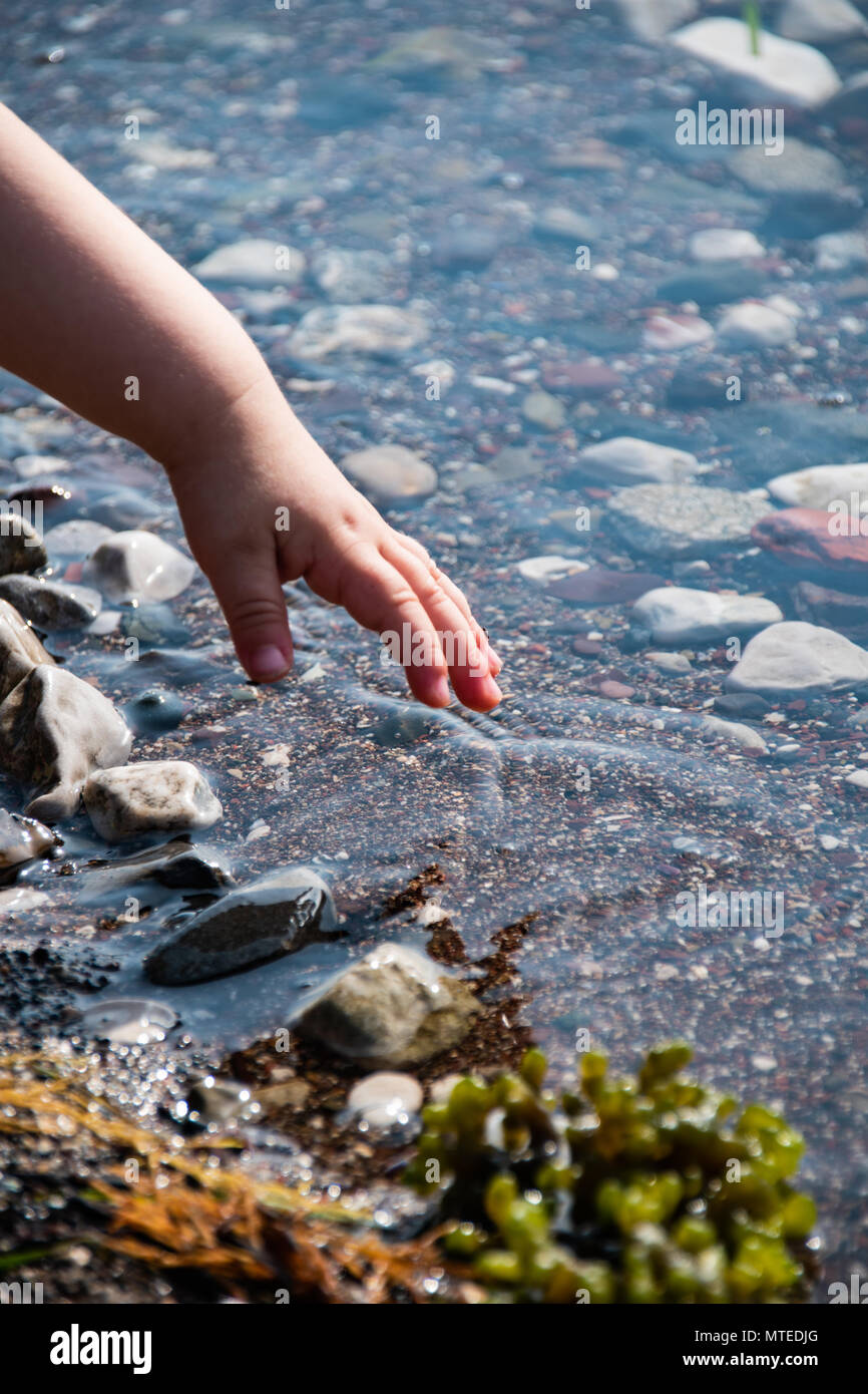 Aquatiq hi-res stock photography and images - Alamy