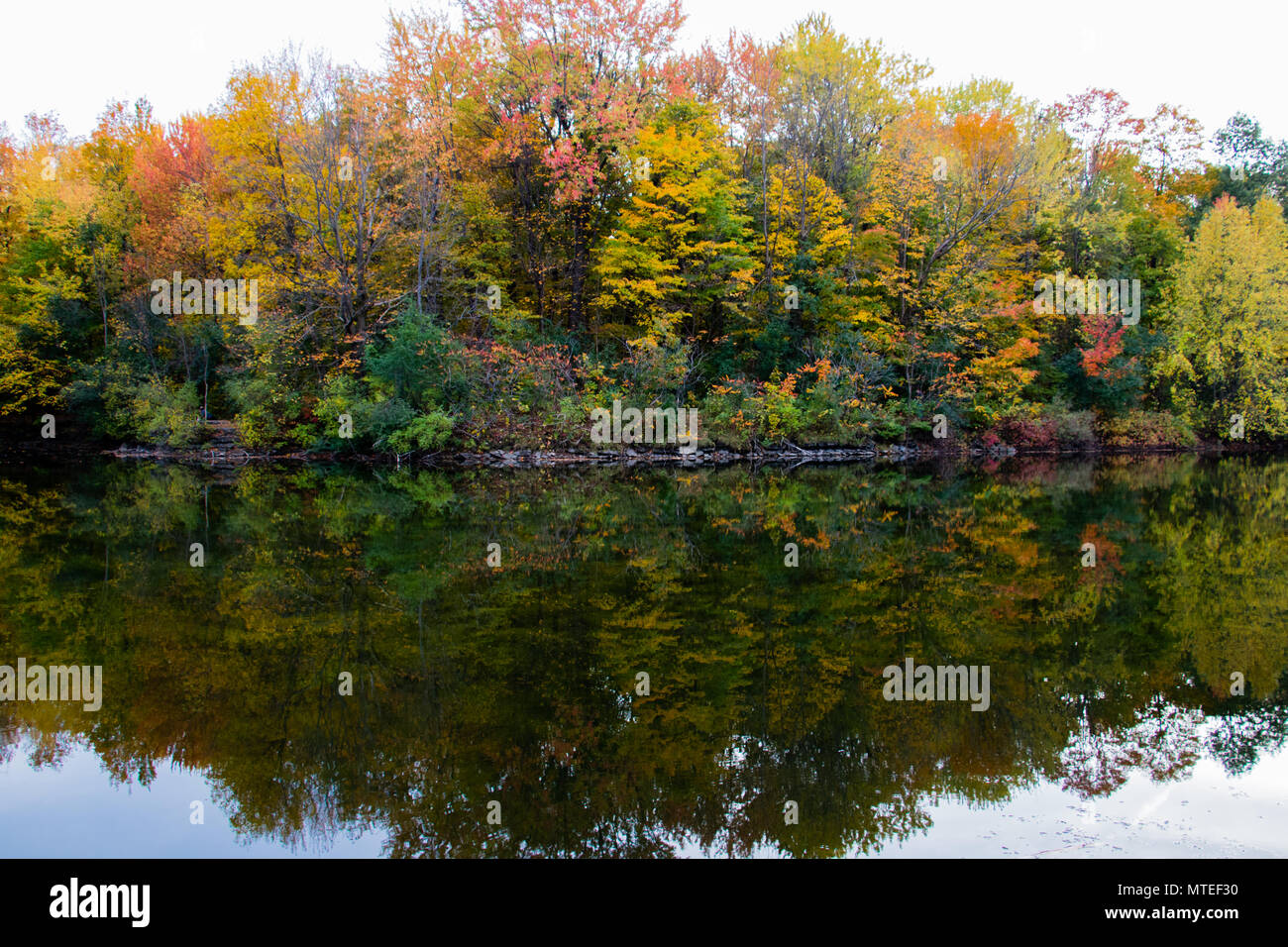 Pond during fall foliage hi-res stock photography and images - Alamy