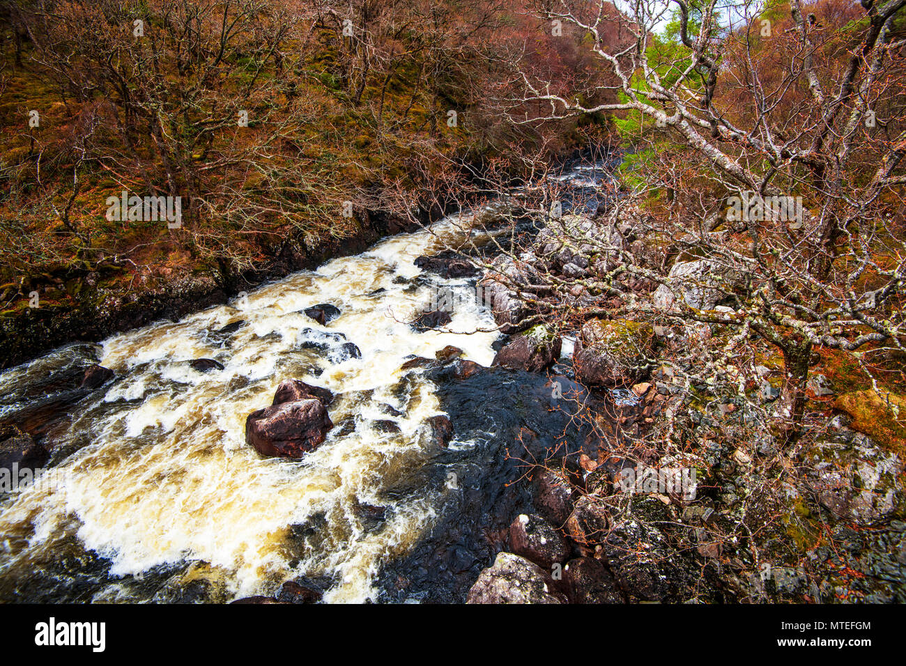 Panoramic poster showing a beautiful Scottish River in full flow ...