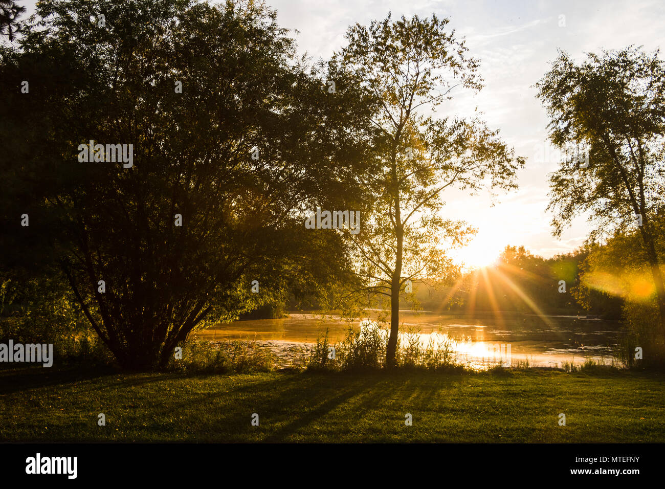 Sun is setting in the Angrignon Park, Montreal, Canada Stock Photo - Alamy