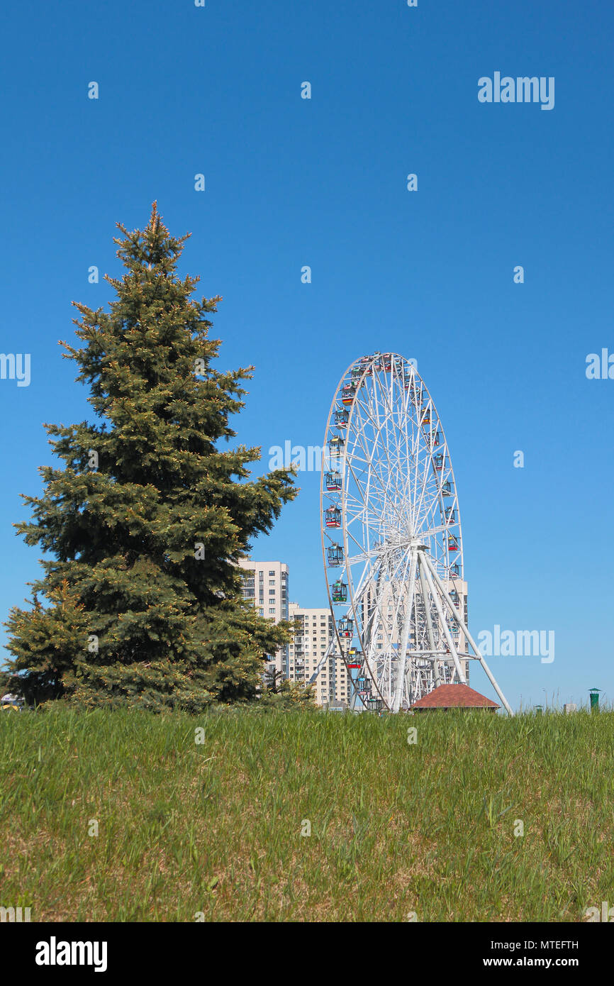 Fir-tree and big wheel in city. Kazan, Russia Stock Photo - Alamy