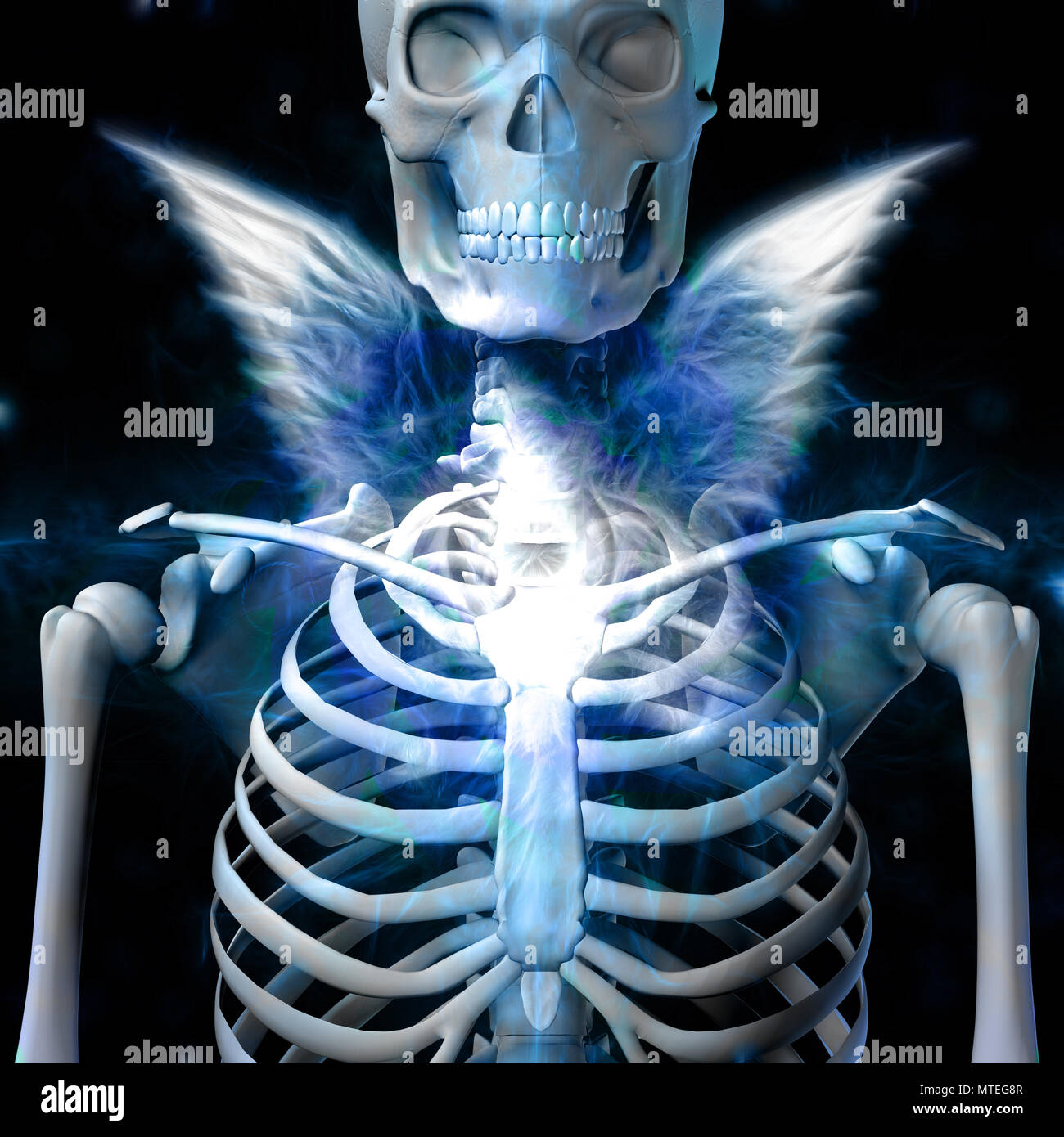 Shining skeleton with wings Stock Photo - Alamy