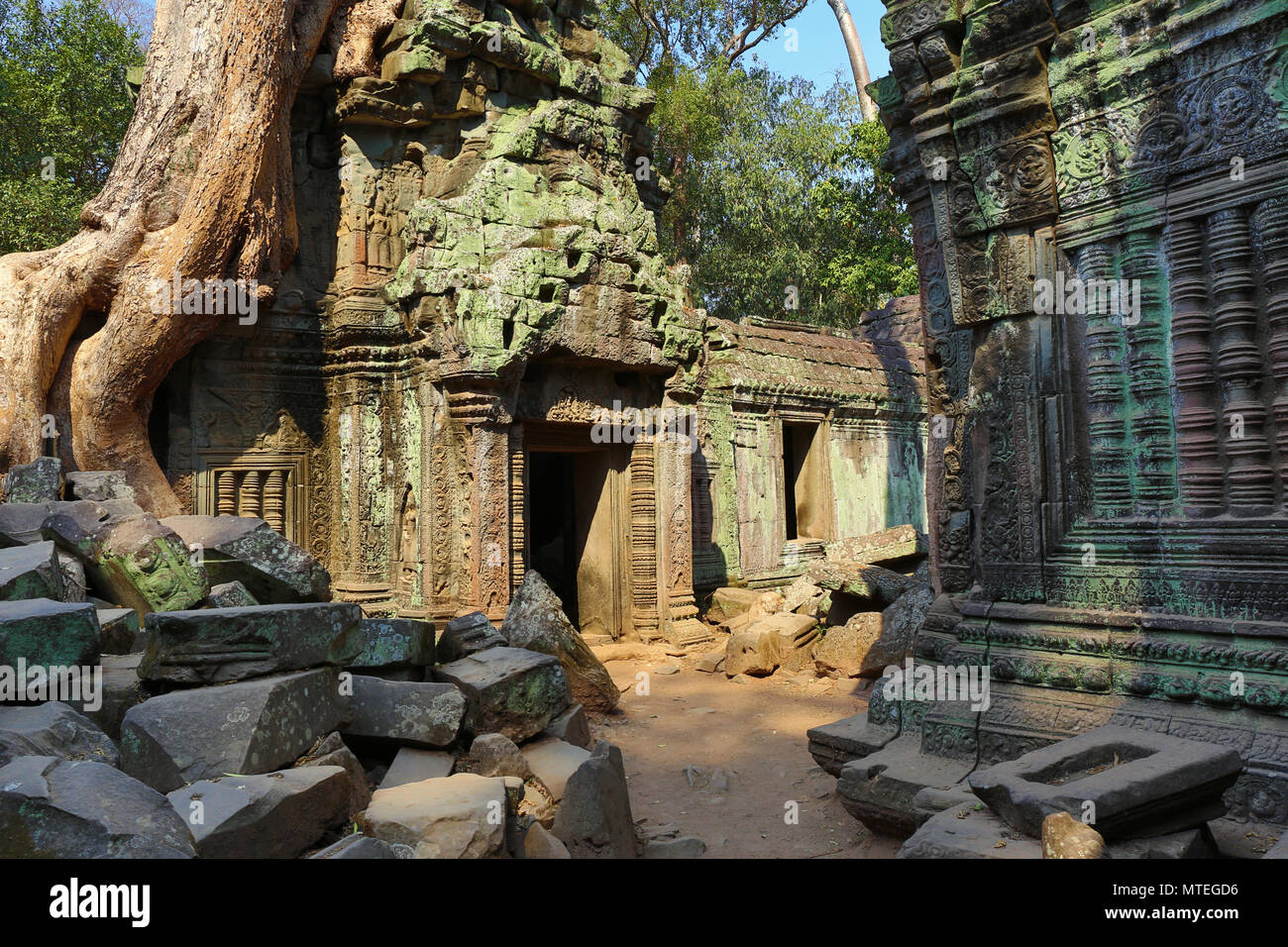 Ta Prohm temple in Cambodia Stock Photo - Alamy