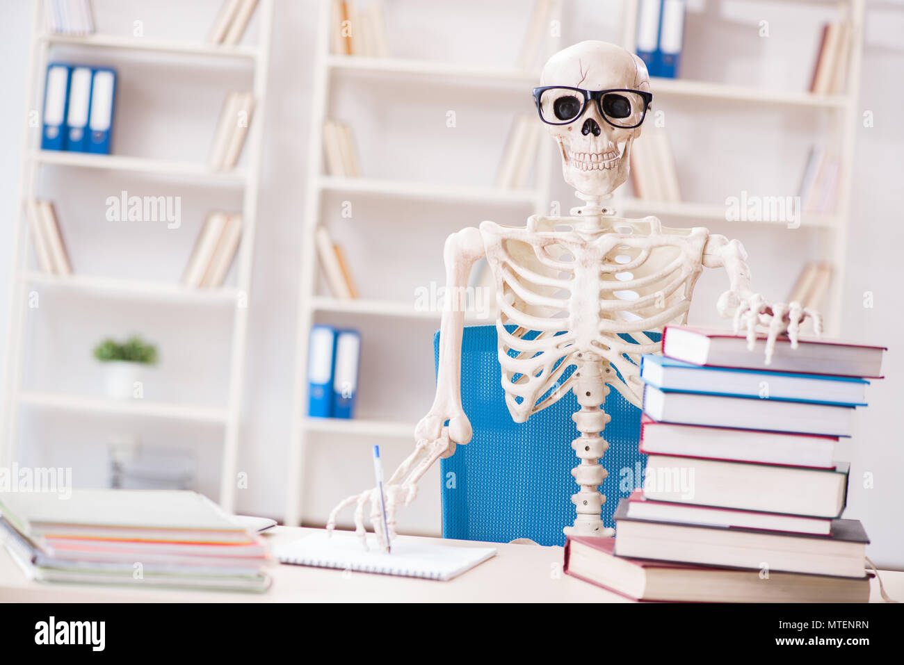 Student skeleton preparing for exams Stock Photo - Alamy