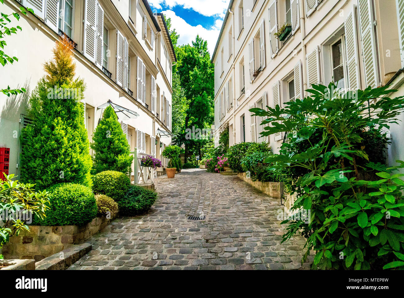 A beautiful cobblestone street in Paris, France Stock Photo - Alamy