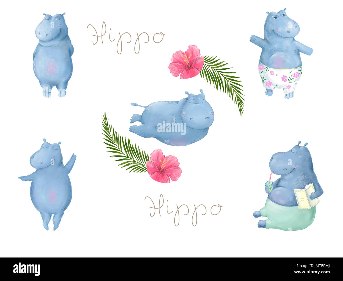 Hippo Clip art animal hippopotamus cute african wildlife on white ...