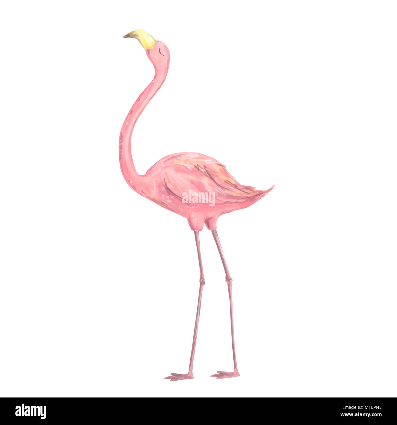 Pink flamingo character digital clip art cute two birds tropical summer ...