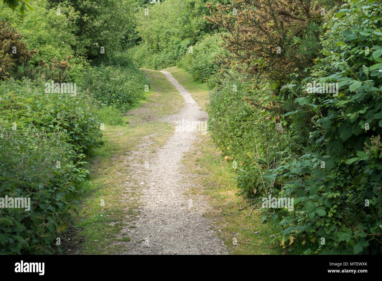 Paths path pathways pathway hi-res stock photography and images - Alamy