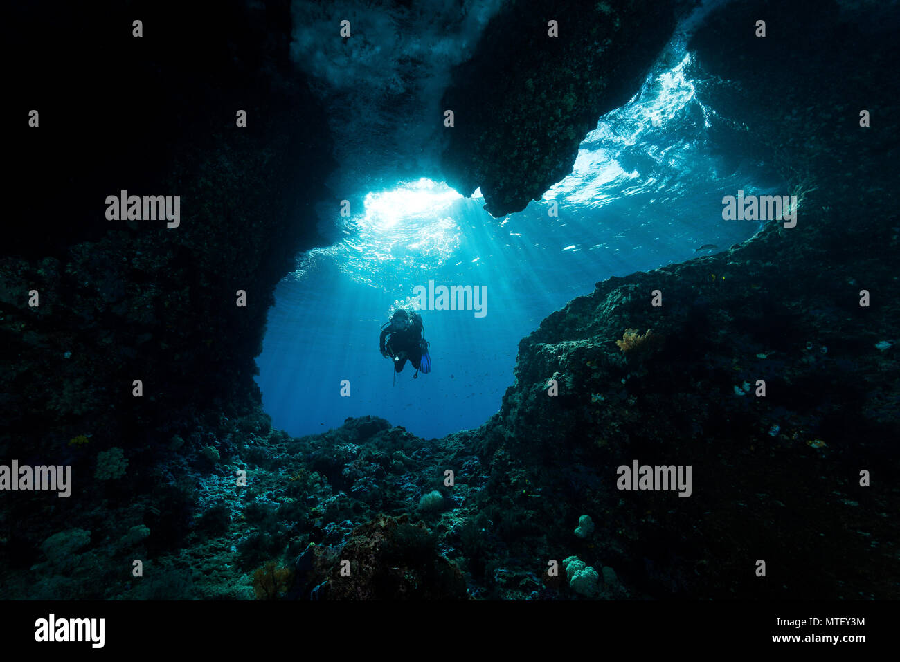 Underwater entrance of cave diver hi-res stock photography and images ...