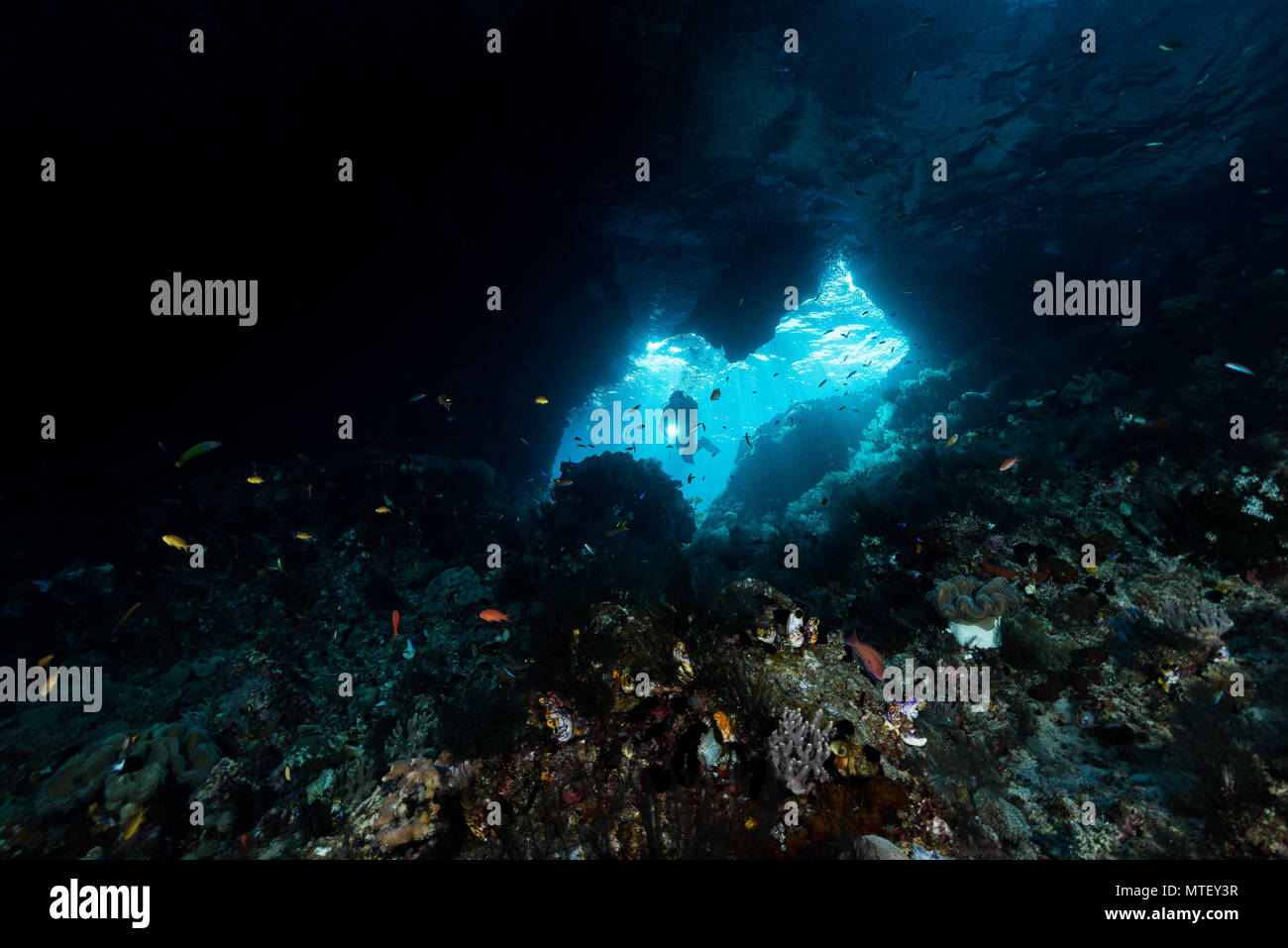 Underwater entrance of cave diver hi-res stock photography and images ...