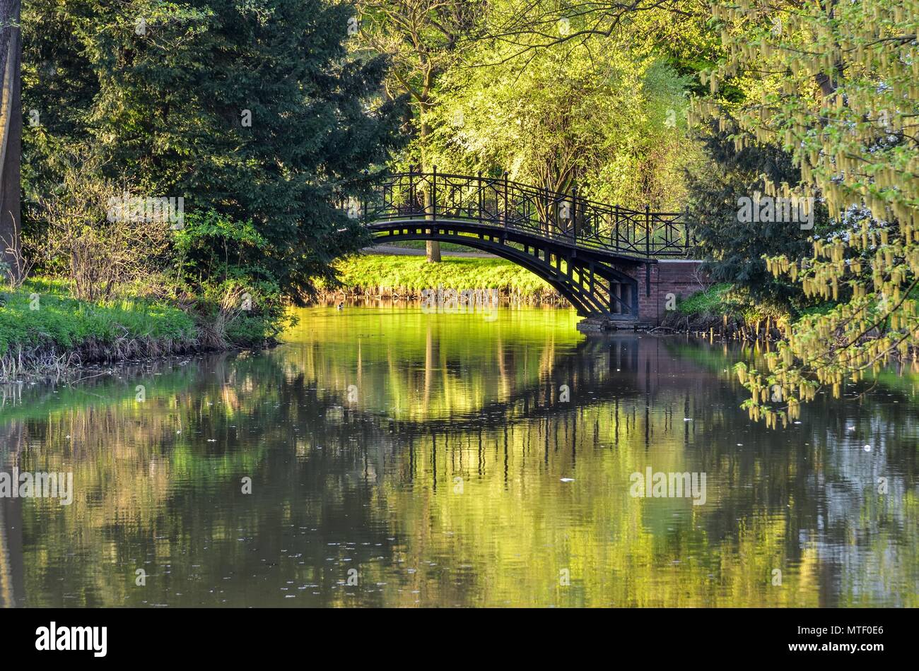 Beautiful spring nature. A bridge in a park by the pond Stock Photo - Alamy