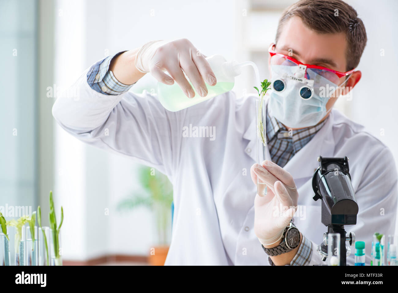 Male biochemist working in the lab on plants Stock Photo - Alamy