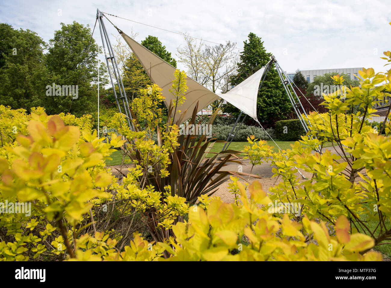 Nottingham University Gardens High Resolution Stock Photography and ...