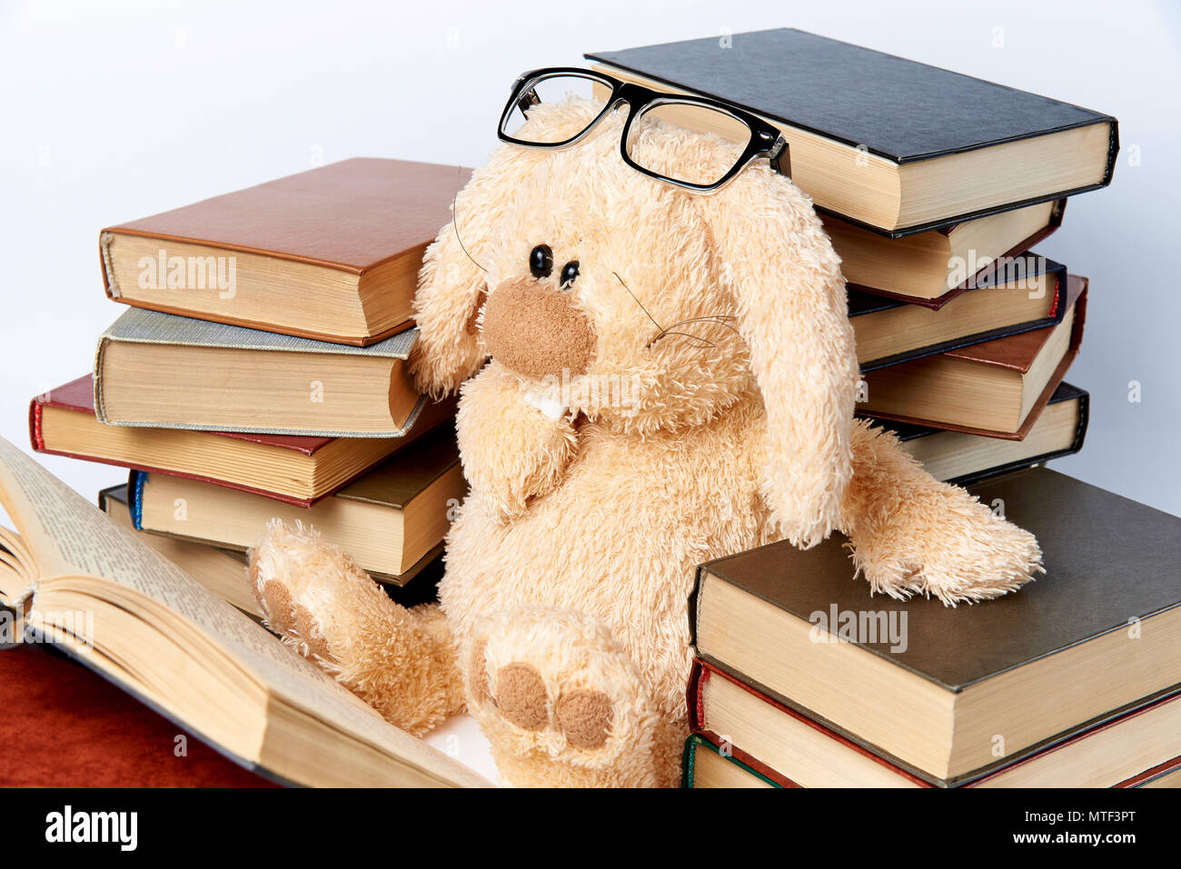 Schoolboy with dictionary hi-res stock photography and images - Alamy
