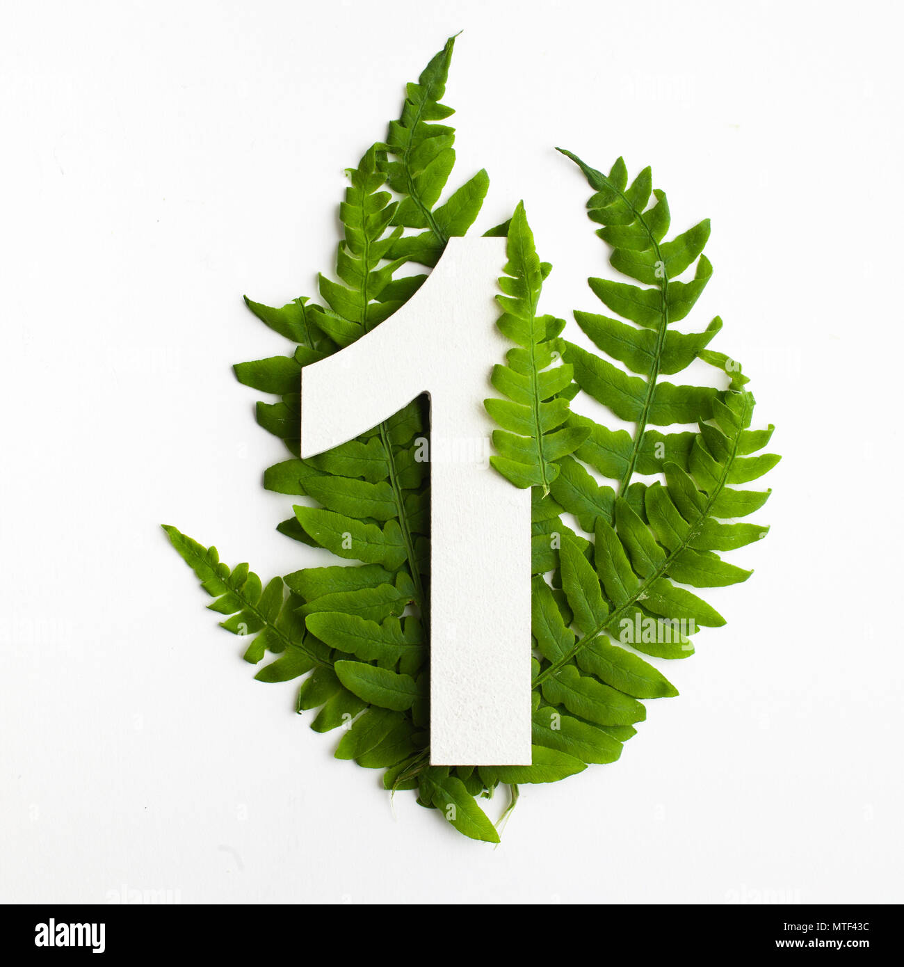 Floral number one, Beautiful green leaves and fern foliage numbers ...