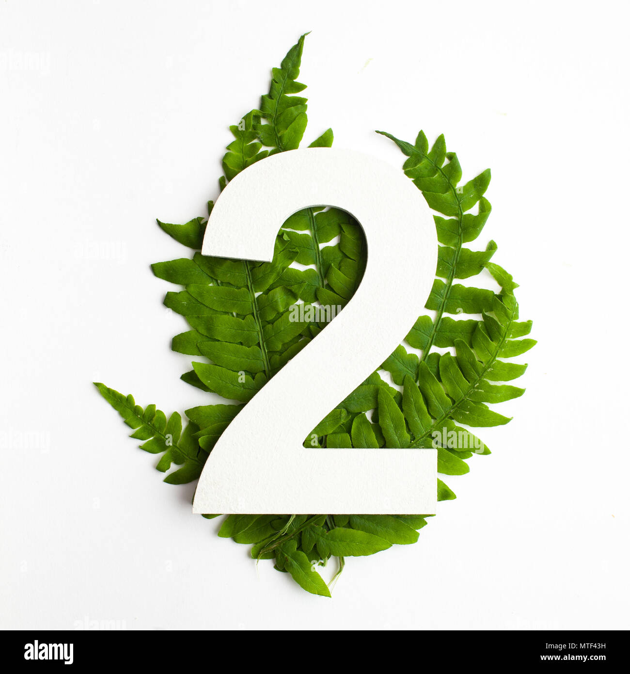 Floral number two. Beautiful green leaves and fern foliage numbers ...