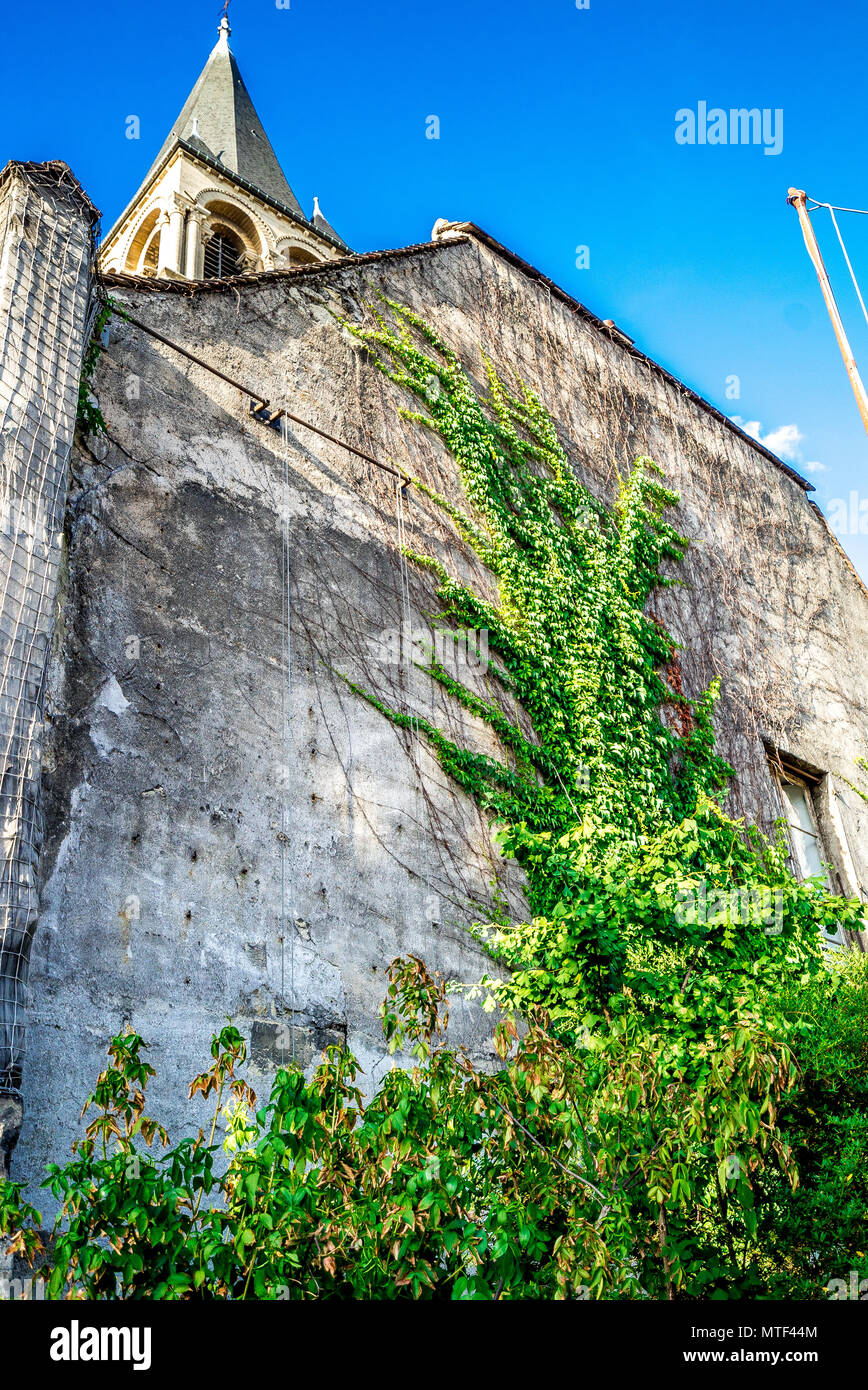 Vines paris hi-res stock photography and images - Alamy