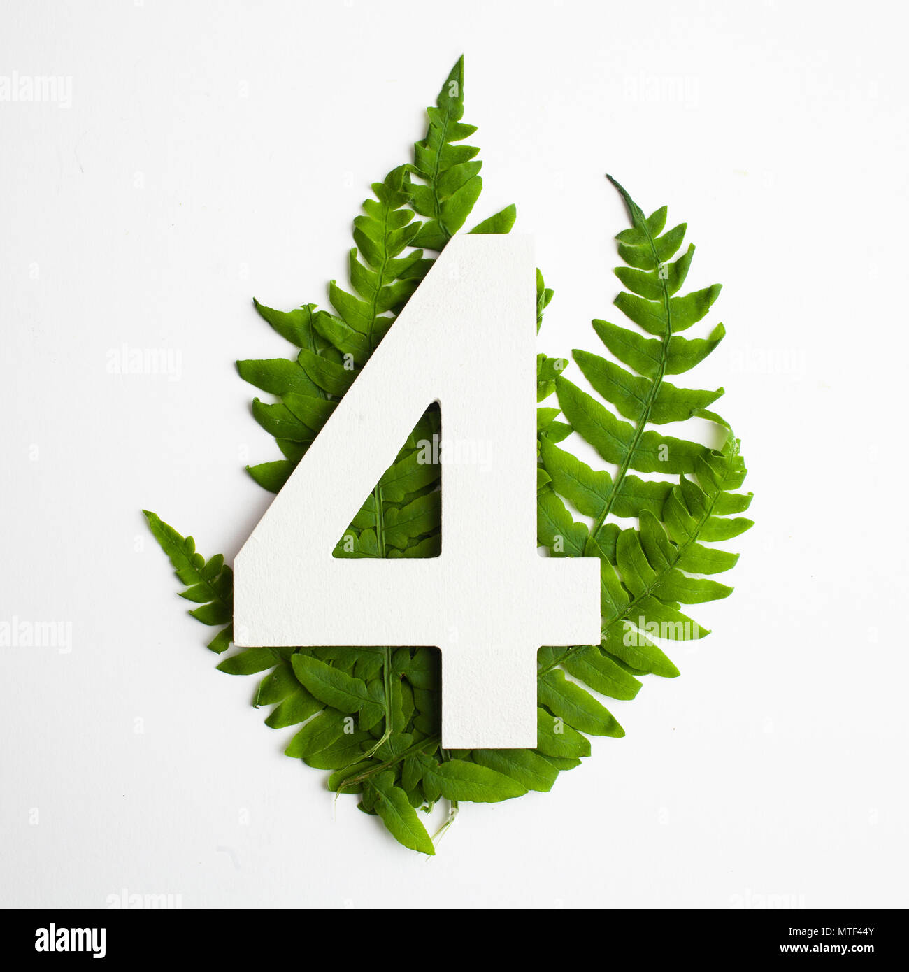 Floral number for. Beautiful green leaves and fern foliage numbers ...