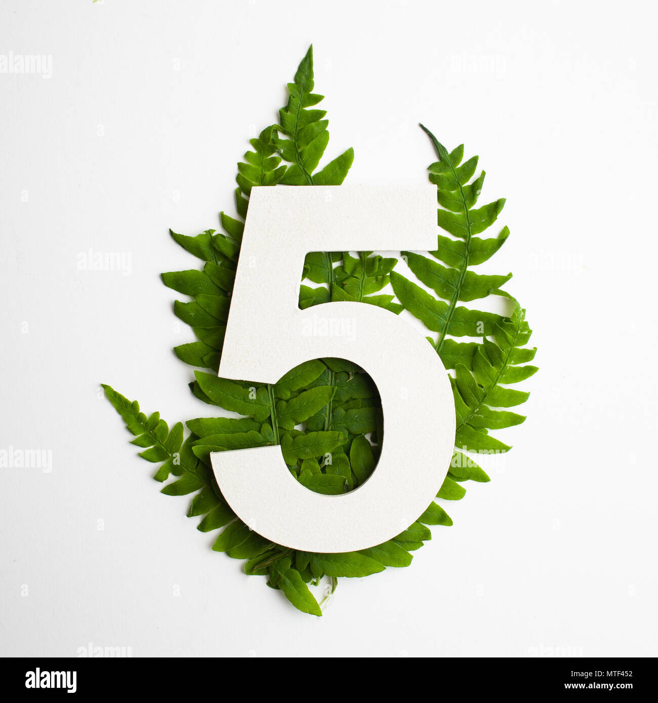 Floral number five. Beautiful green leaves and fern foliage numbers ...