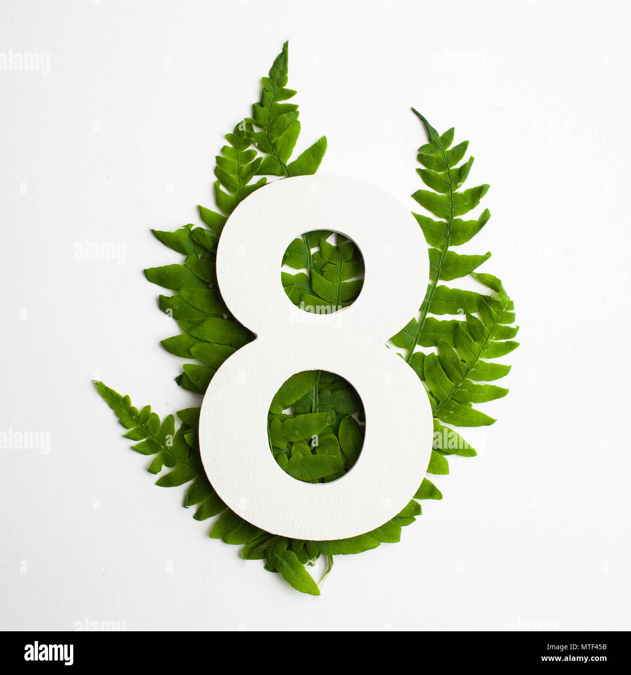 Floral number eight. Beautiful green leaves and fern foliage numbers ...