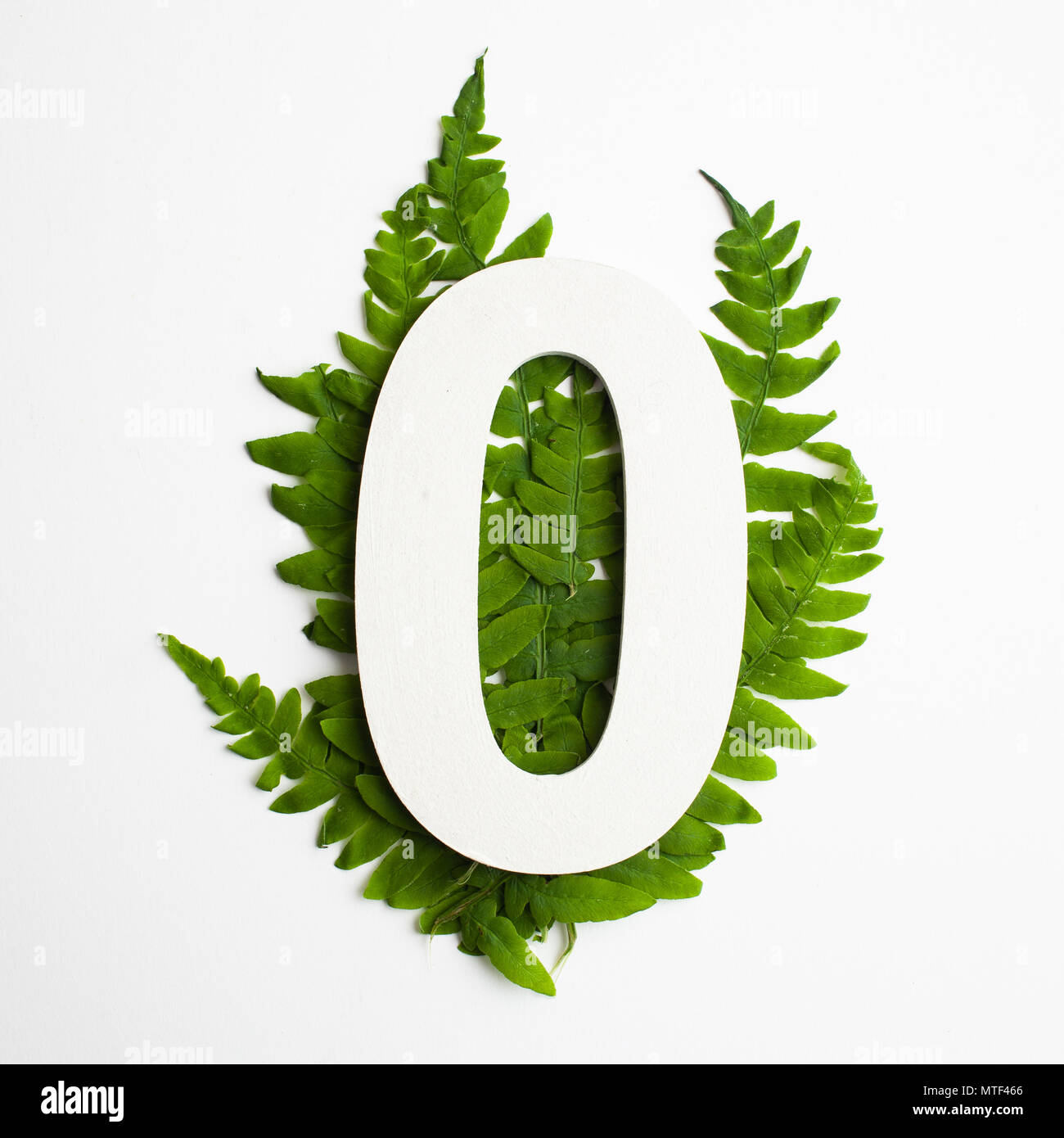 Floral number zero. Beautiful green leaves and fern foliage numbers ...