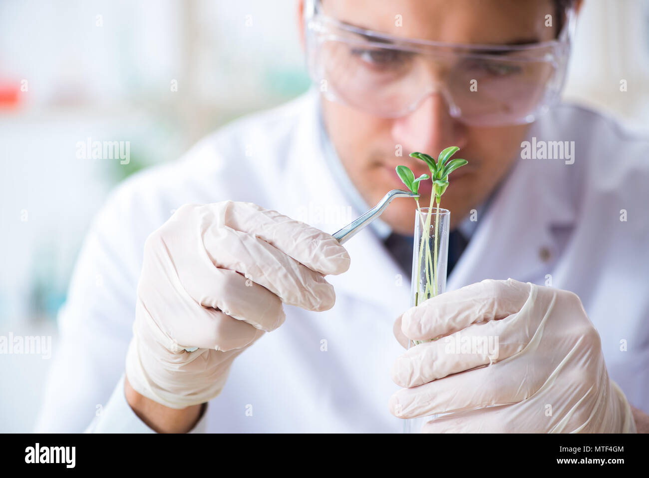 Male biochemist working in the lab on plants Stock Photo - Alamy