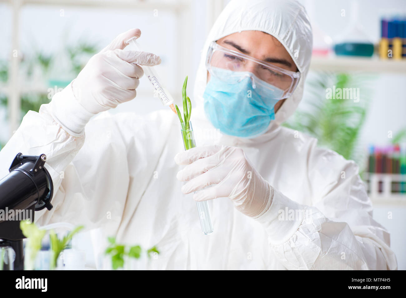 Male biochemist working in the lab on plants Stock Photo - Alamy