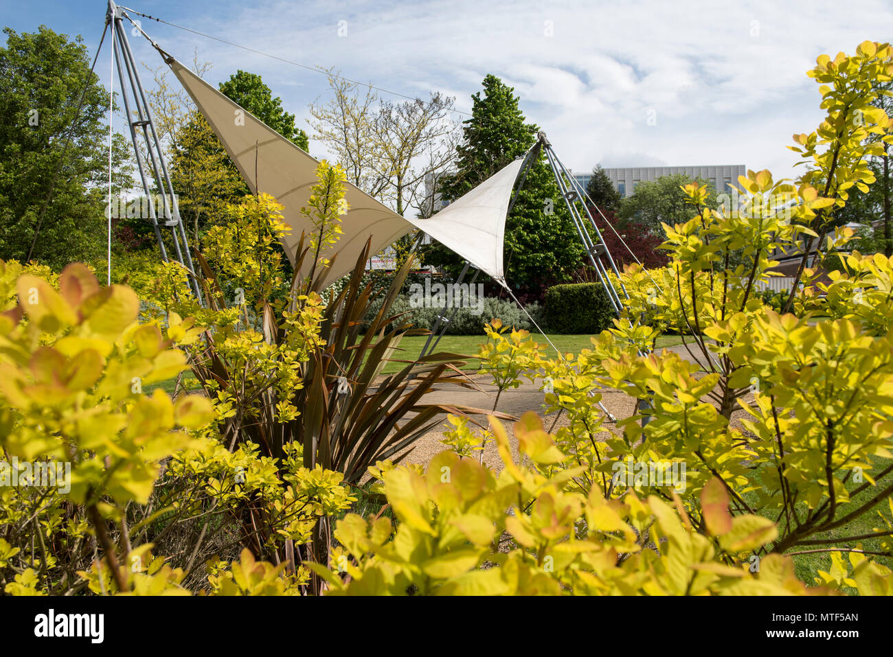 Nottingham University Gardens High Resolution Stock Photography and ...