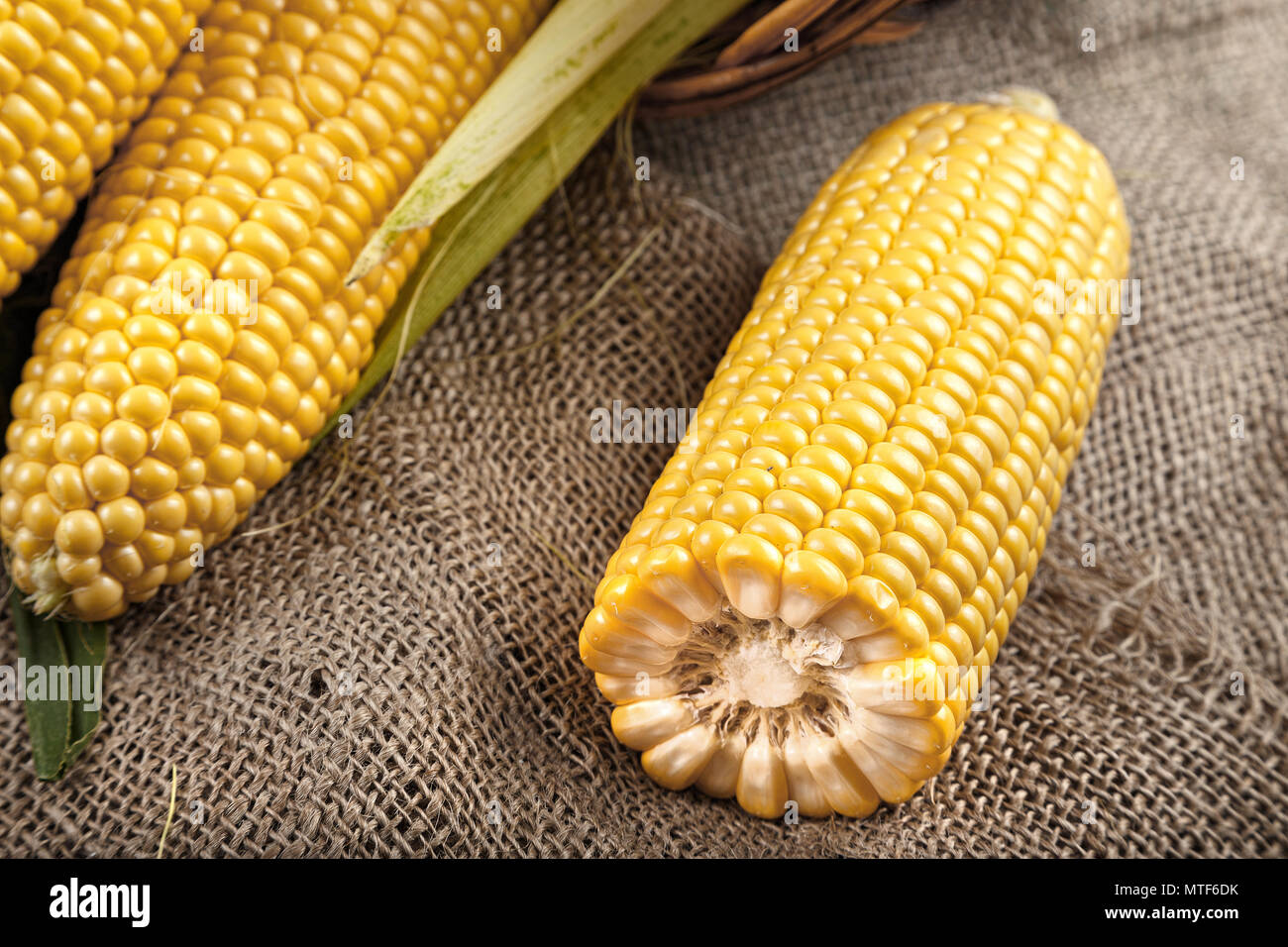 sweet corn on sackcloth, half of corn, some corn peeled, some do not ...