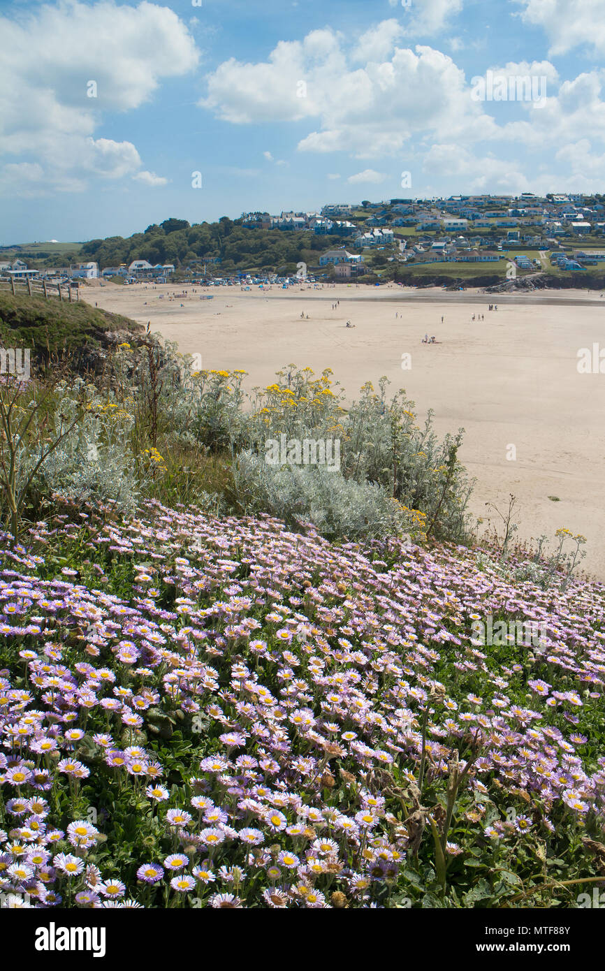 Cliff overlooking beach hi-res stock photography and images - Alamy
