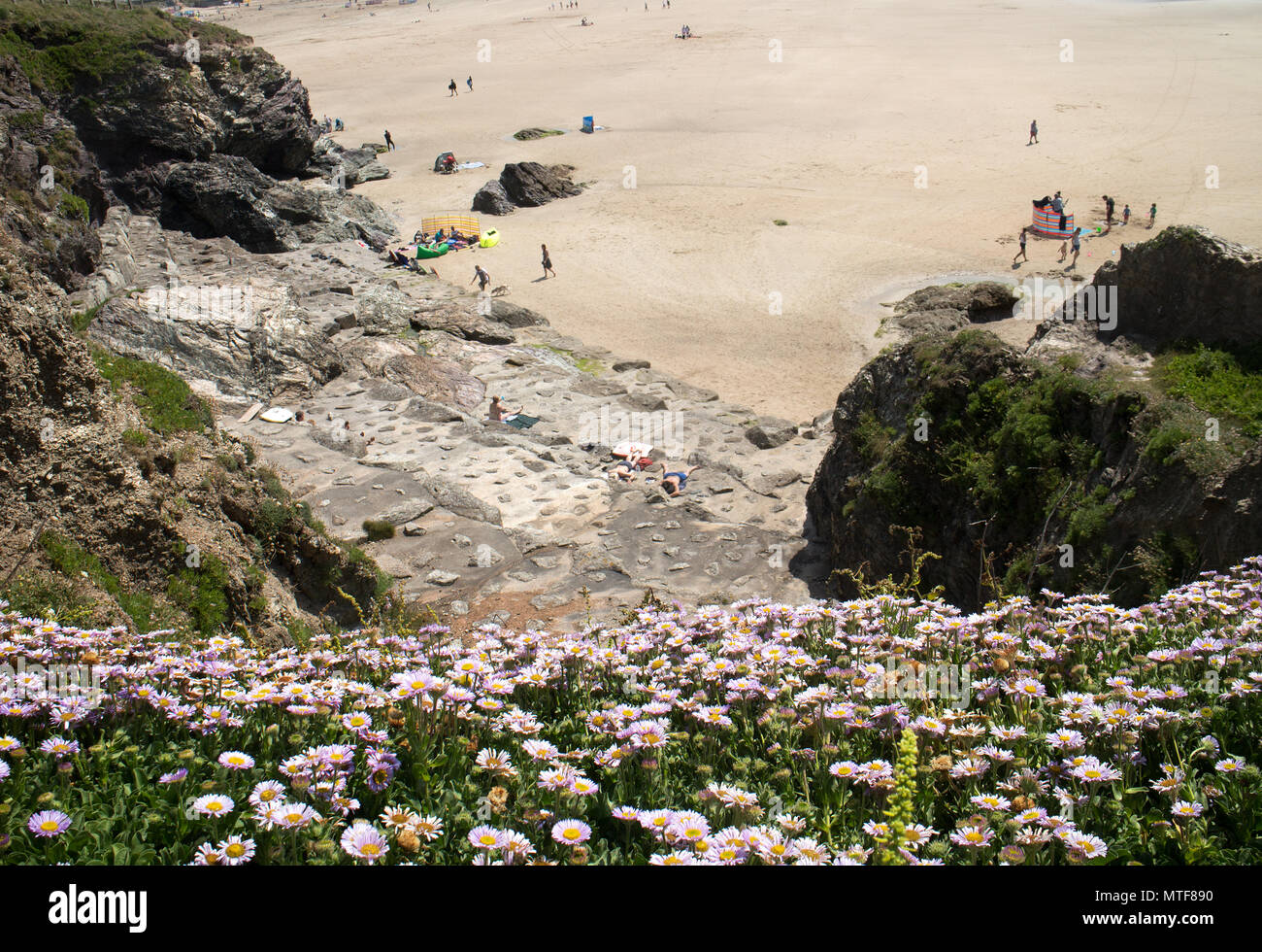 Cliff overlooking beach hi-res stock photography and images - Alamy