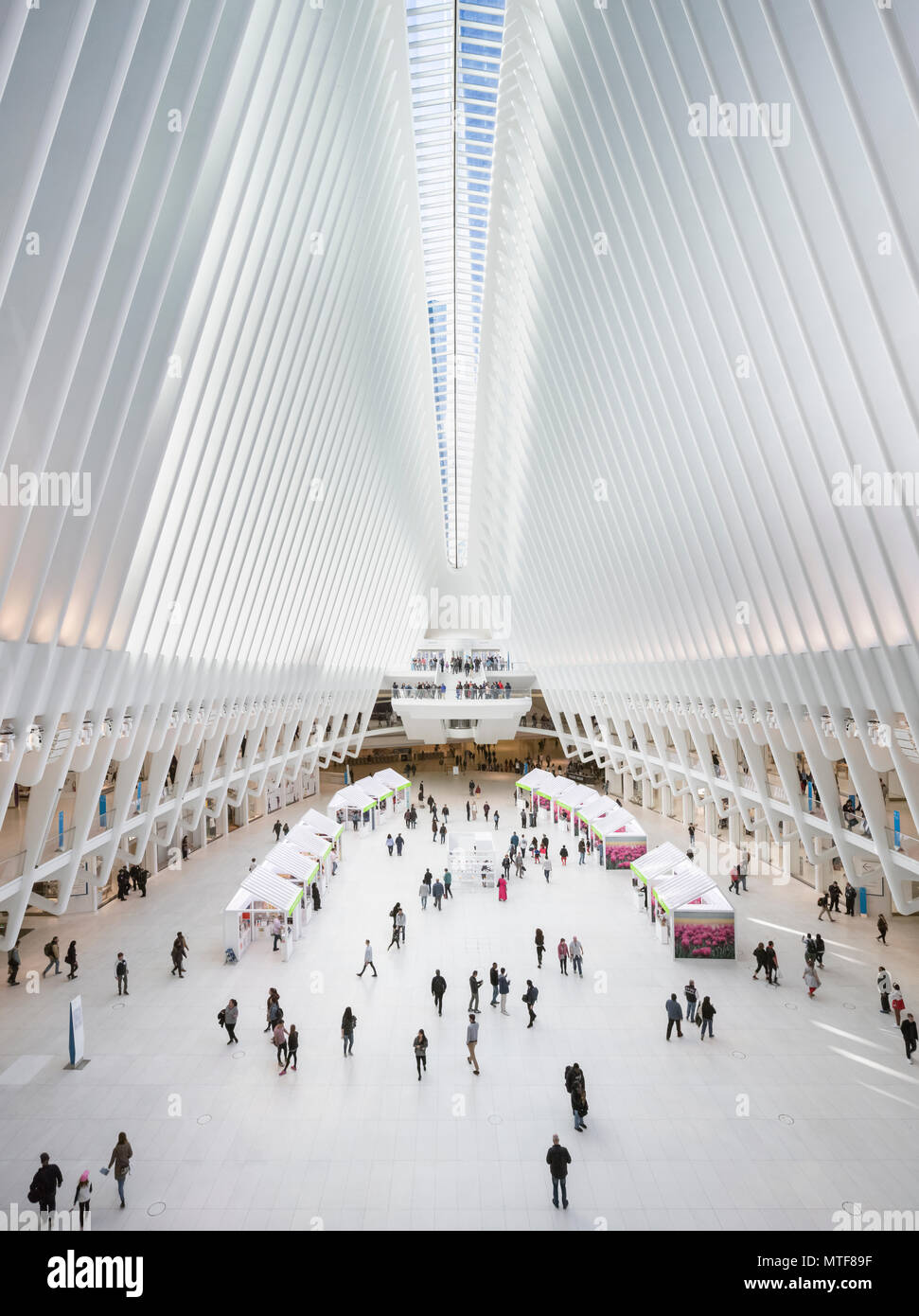 The Oculus World Trade Center Transportation Hub at Ground Zero in ...