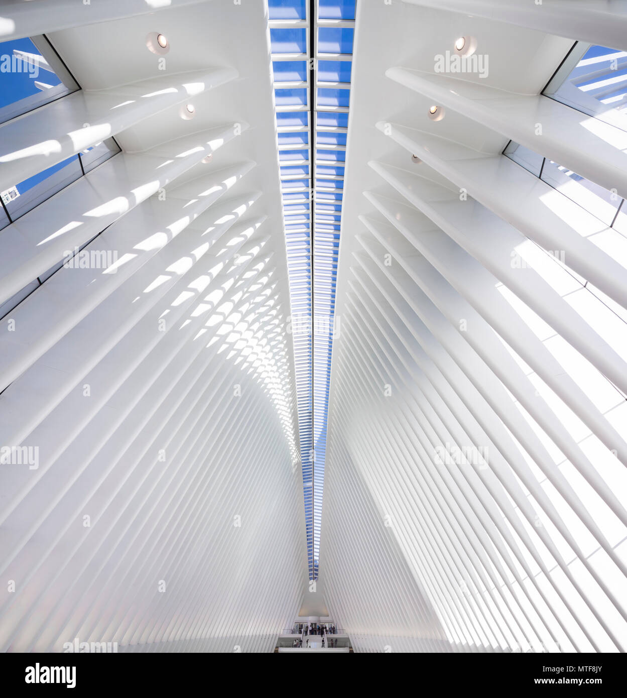 The Oculus World Trade Center Transportation Hub at Ground Zero in ...