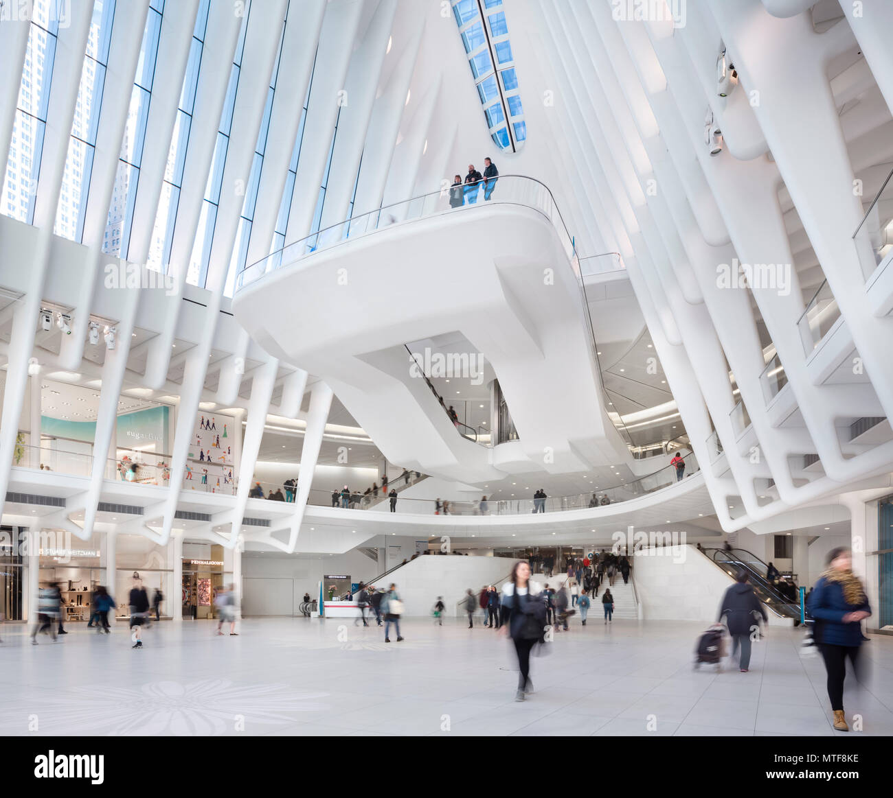 The Oculus World Trade Center Transportation Hub at Ground Zero in ...