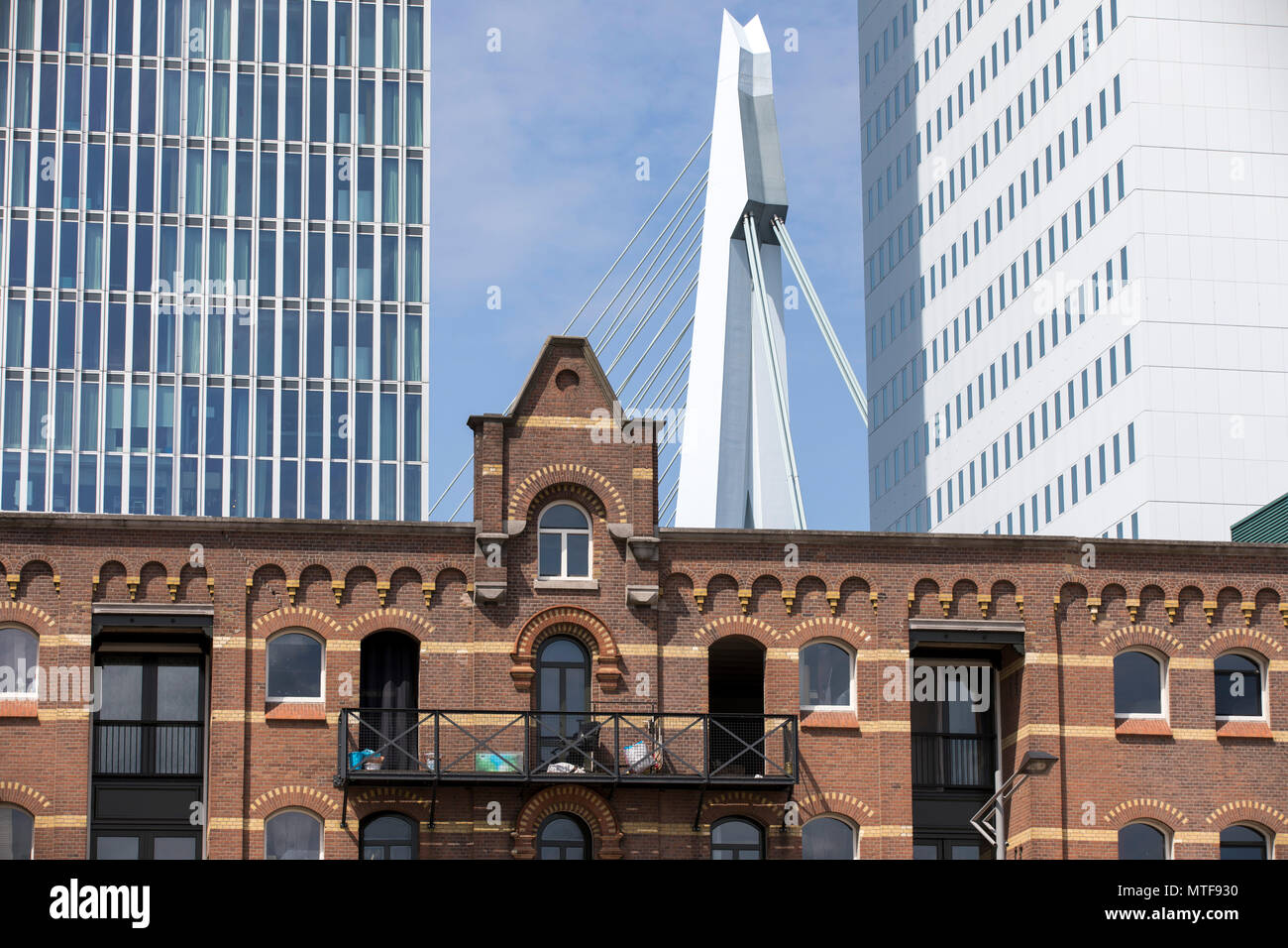 The skyline of Rotterdam, on the Nieuwe Maas, river, skyscrapers on the ...