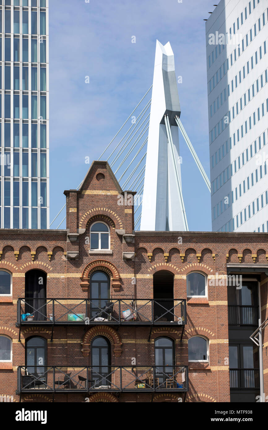 The skyline of Rotterdam, on the Nieuwe Maas, river, skyscrapers on the ...