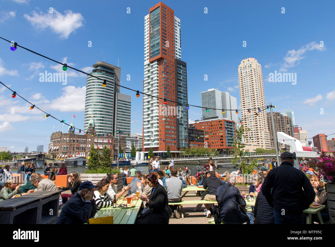 View of the skyline of Rotterdam, from the Fenix Food Factory, covered ...